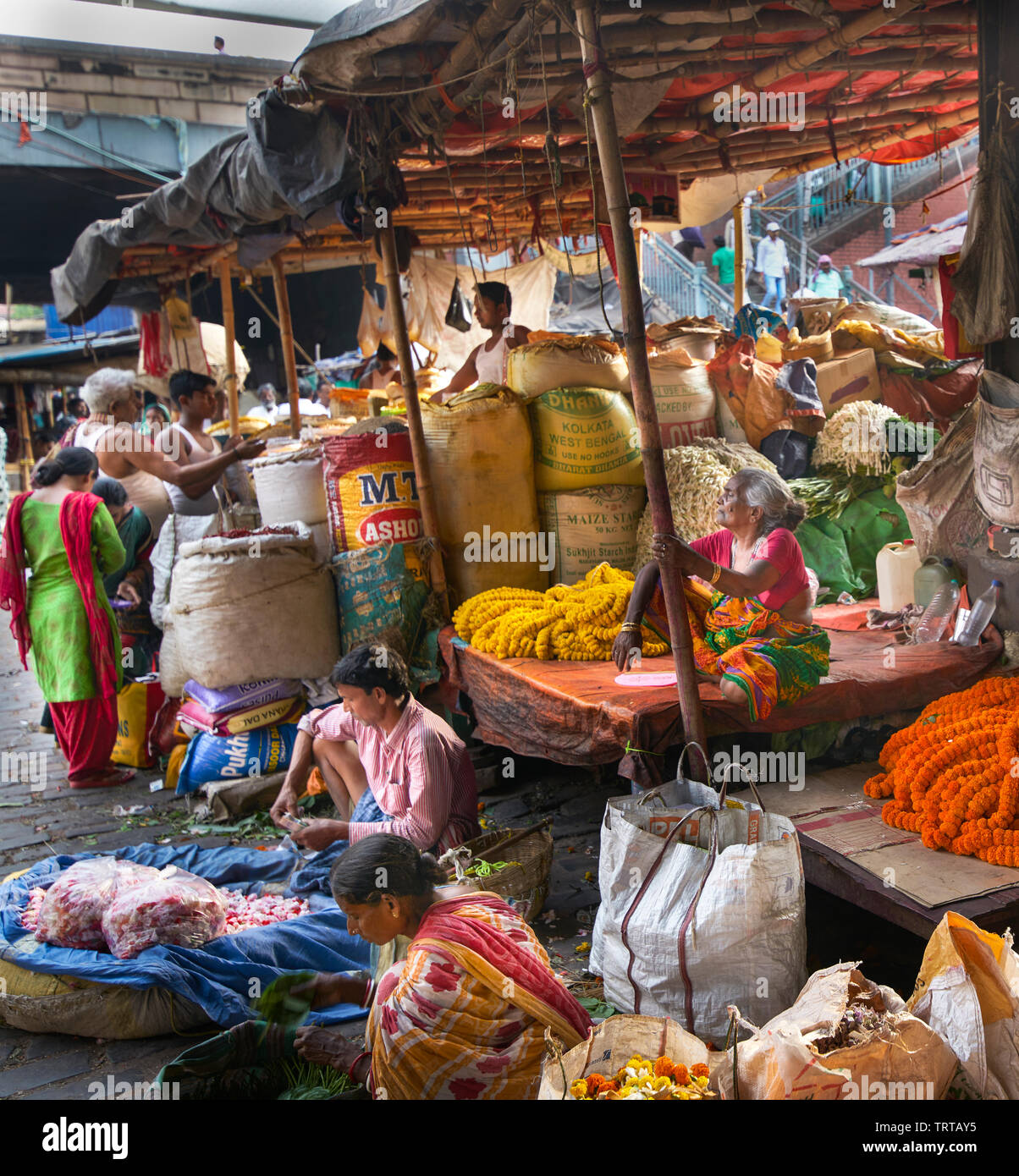 Selling flower garlands at the Mullik Ghat Flower Market under the ...