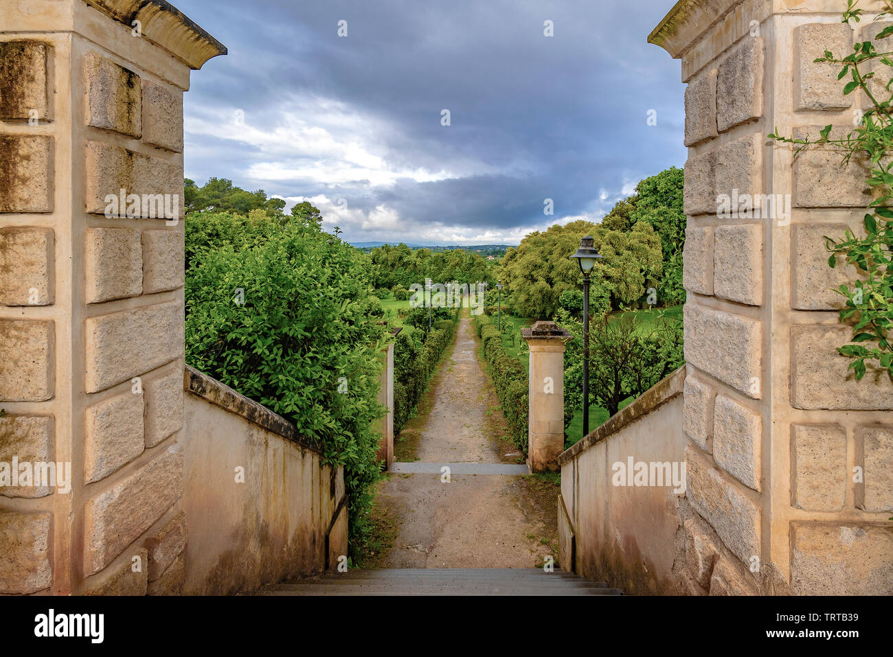 Italy Sardinia Sassari Monserrato Park stairs garden with cypress, palm ...