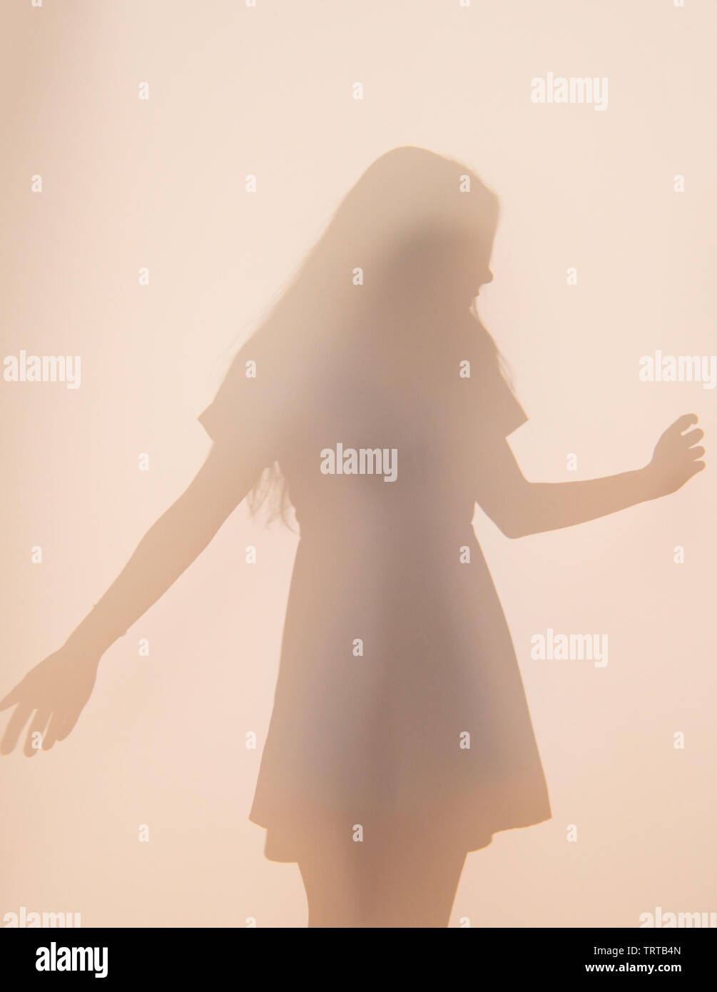 Silhouette of woman behind fog hi-res stock photography and images - Alamy