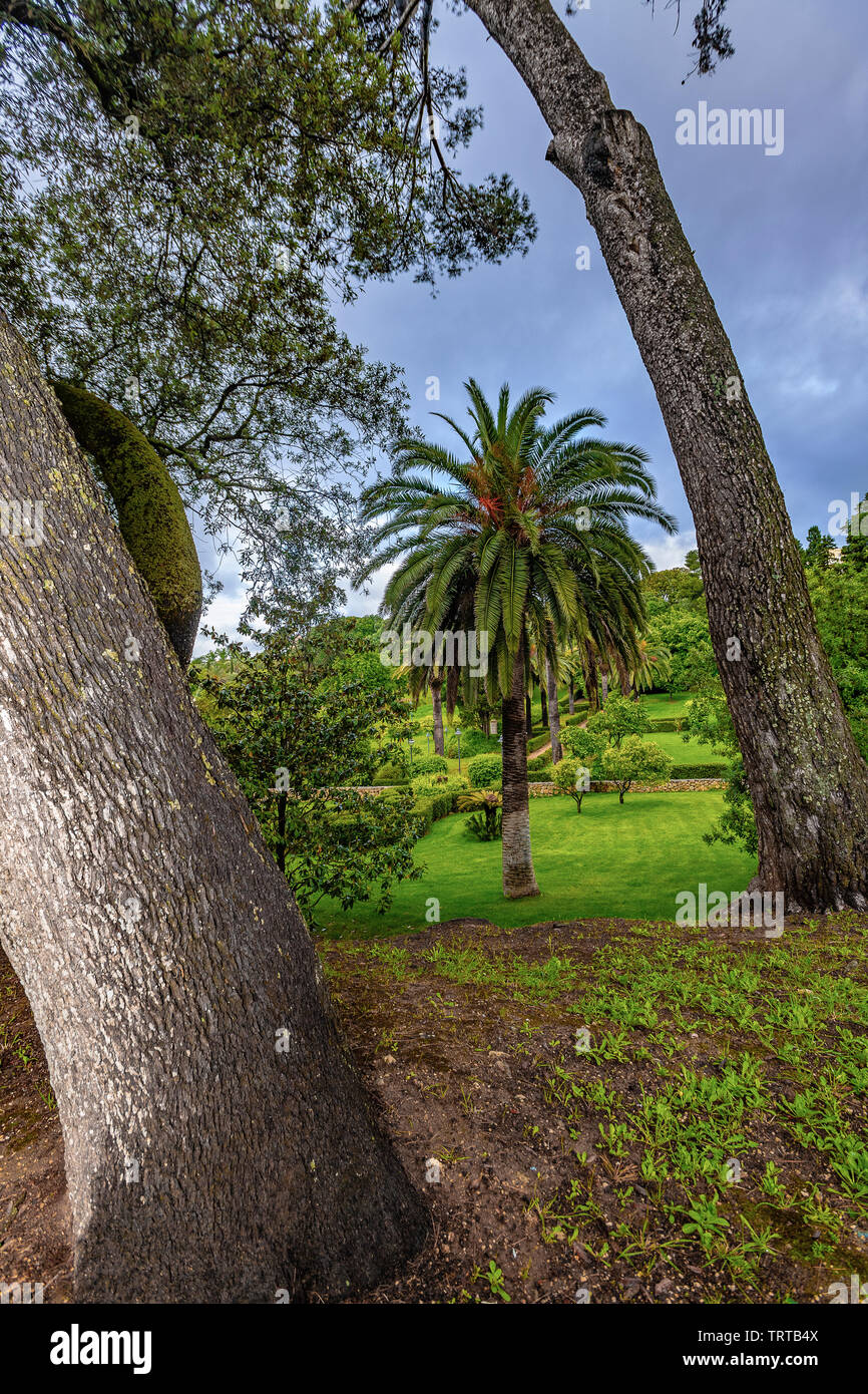 Monserrato park hi-res stock photography and images - Alamy