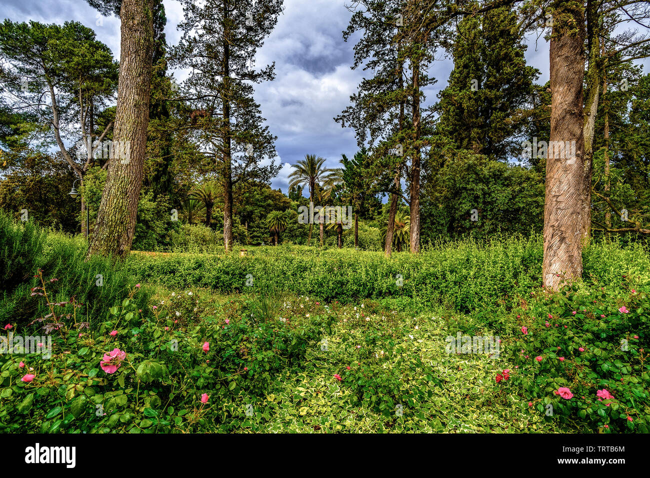 Monserrato park hi-res stock photography and images - Alamy