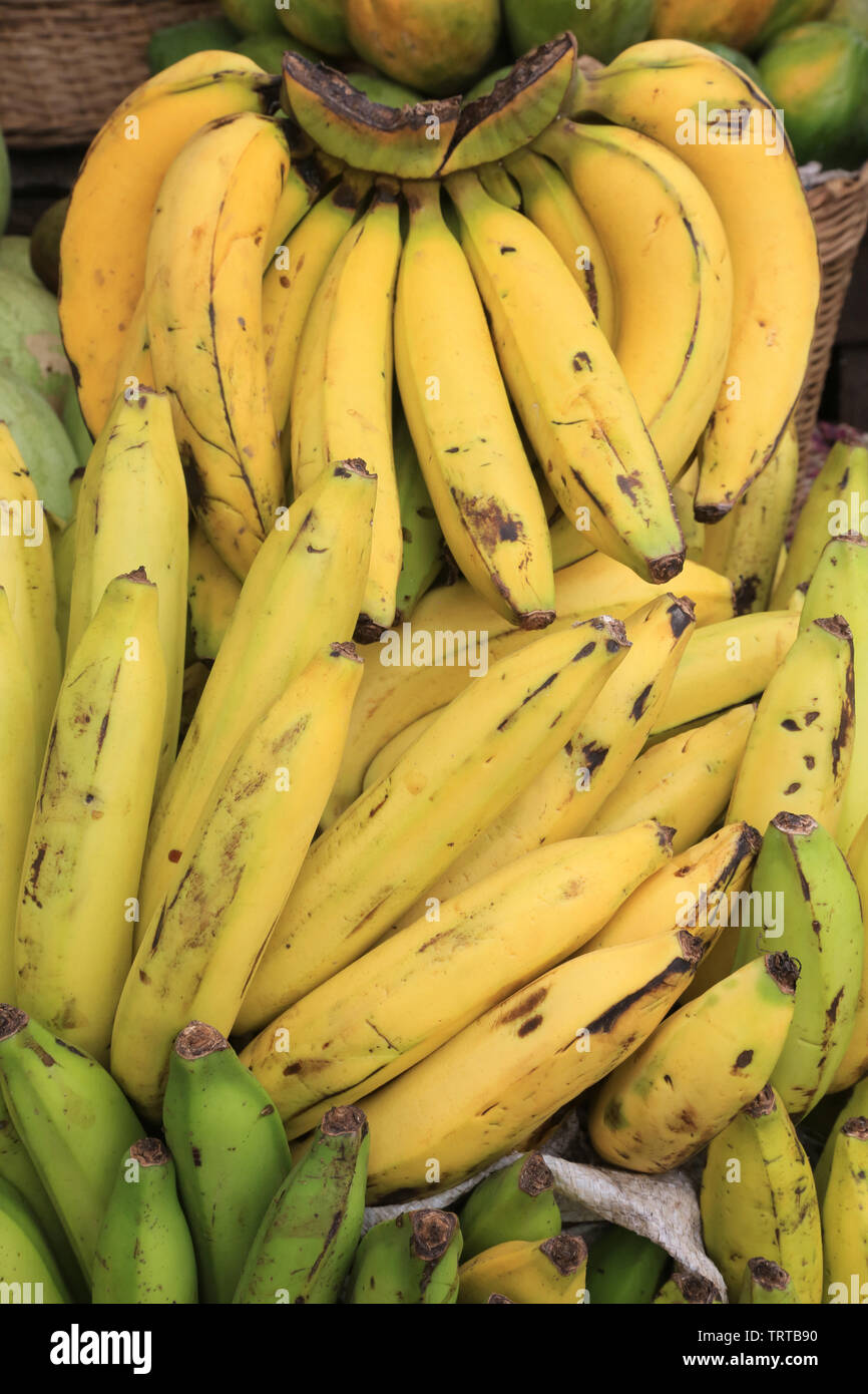 Bananes hi-res stock photography and images - Alamy