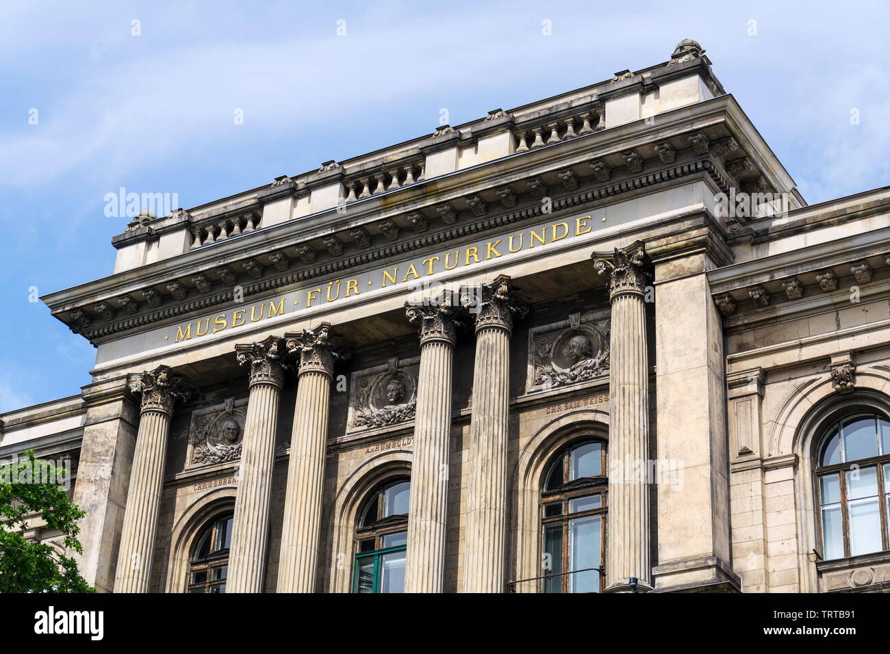 Museum fur Naturkunde - Natural History Museum in Berlin, Germany ...