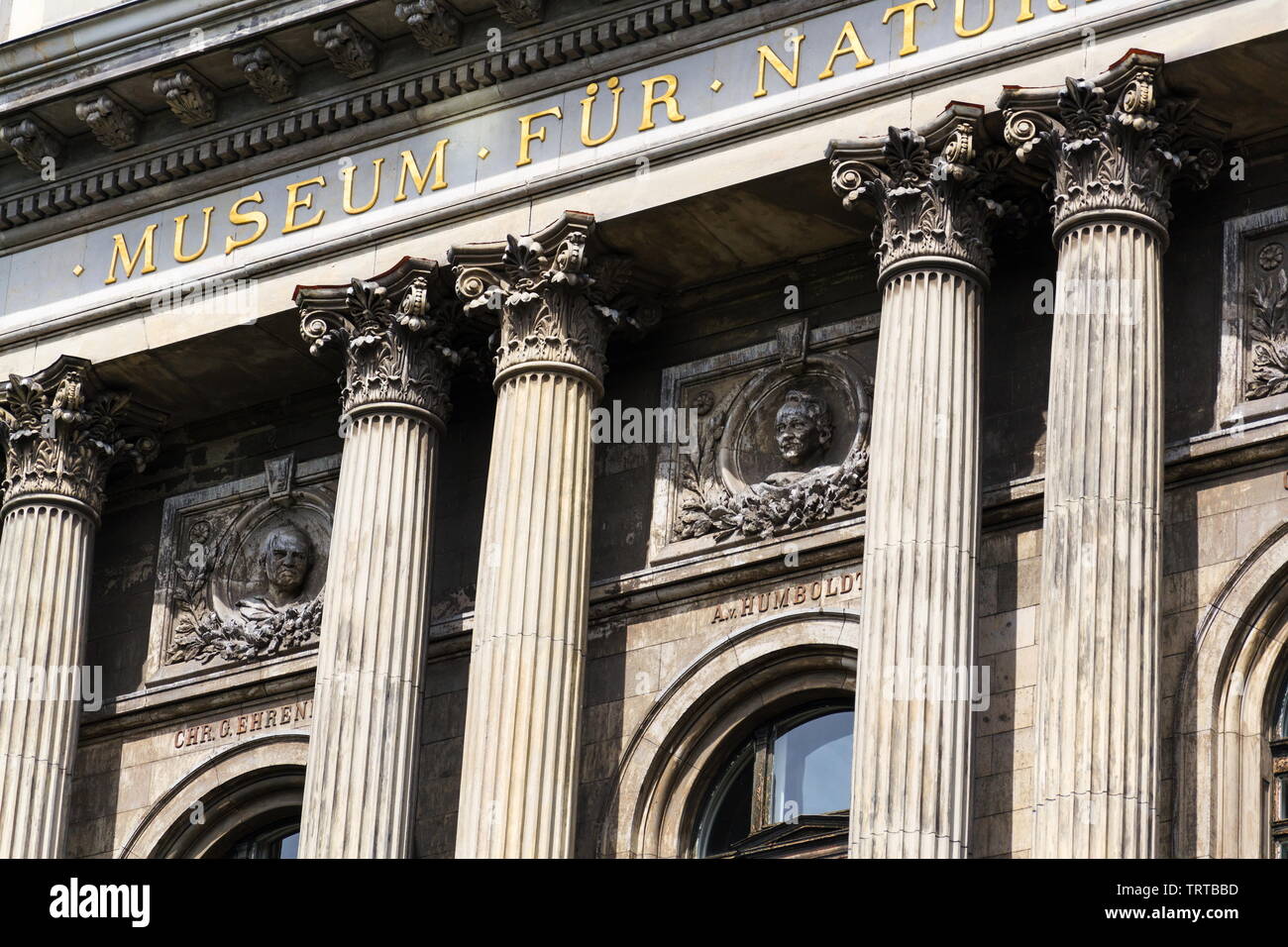 Museum fur Naturkunde - Natural History Museum in Berlin, Germany ...