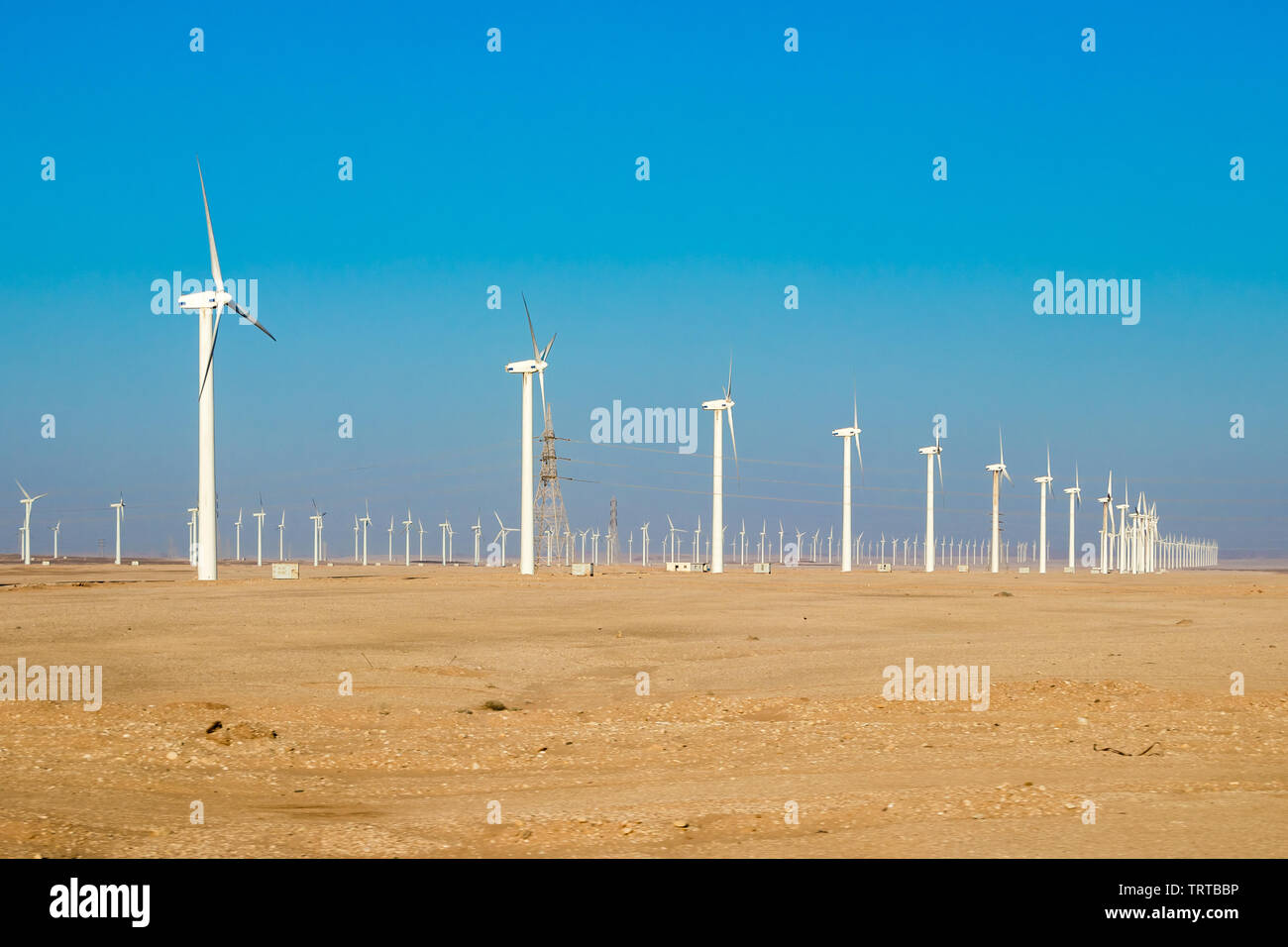 Egypt green technology hi-res stock photography and images - Alamy