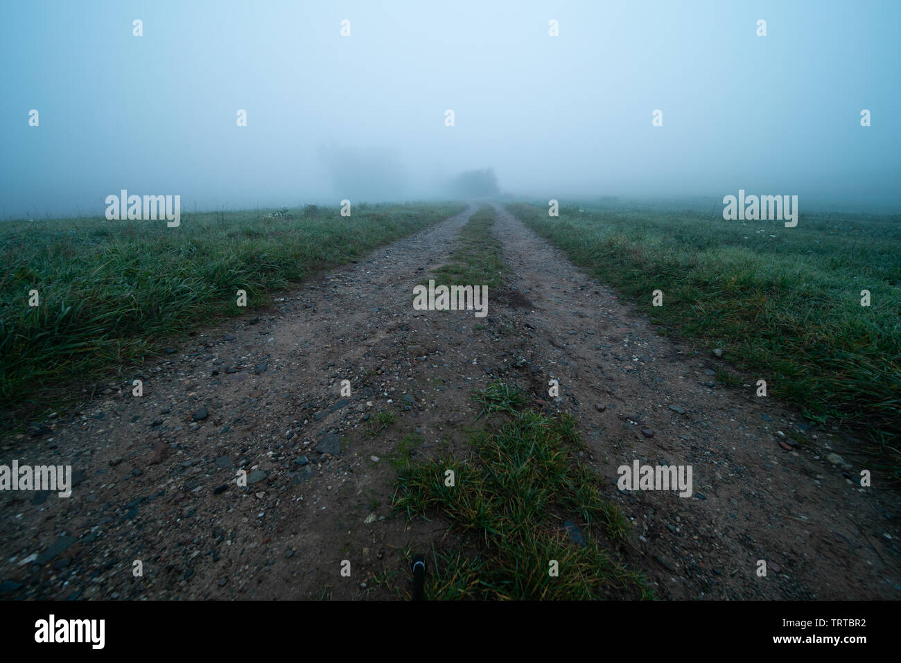 Night landscape country road Stock Photo - Alamy