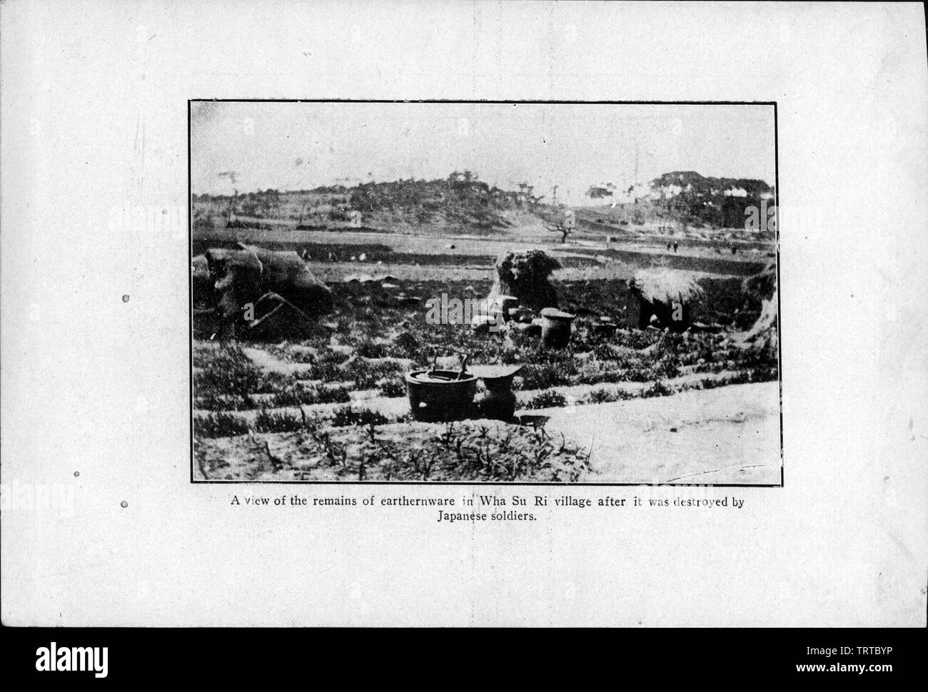 [Red Cross pamphlet on March 1st Movement] Item abstract: Declaration ...