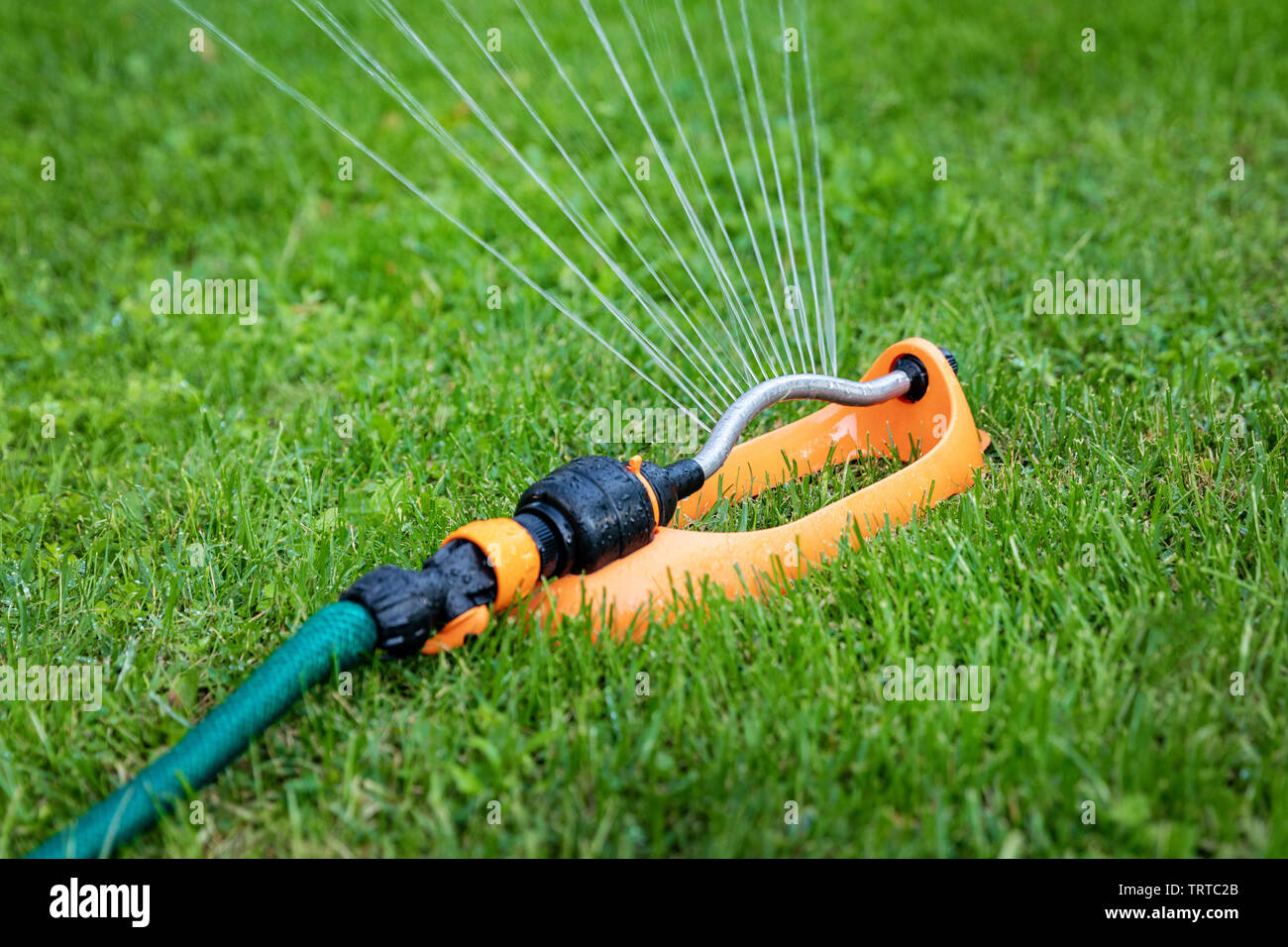 Watering system for lawn grass hi-res stock photography and images - Alamy