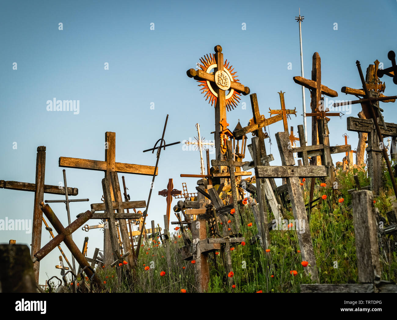 Bunch of wooden crosses during summer sunrise Hill of Crosses is a site ...