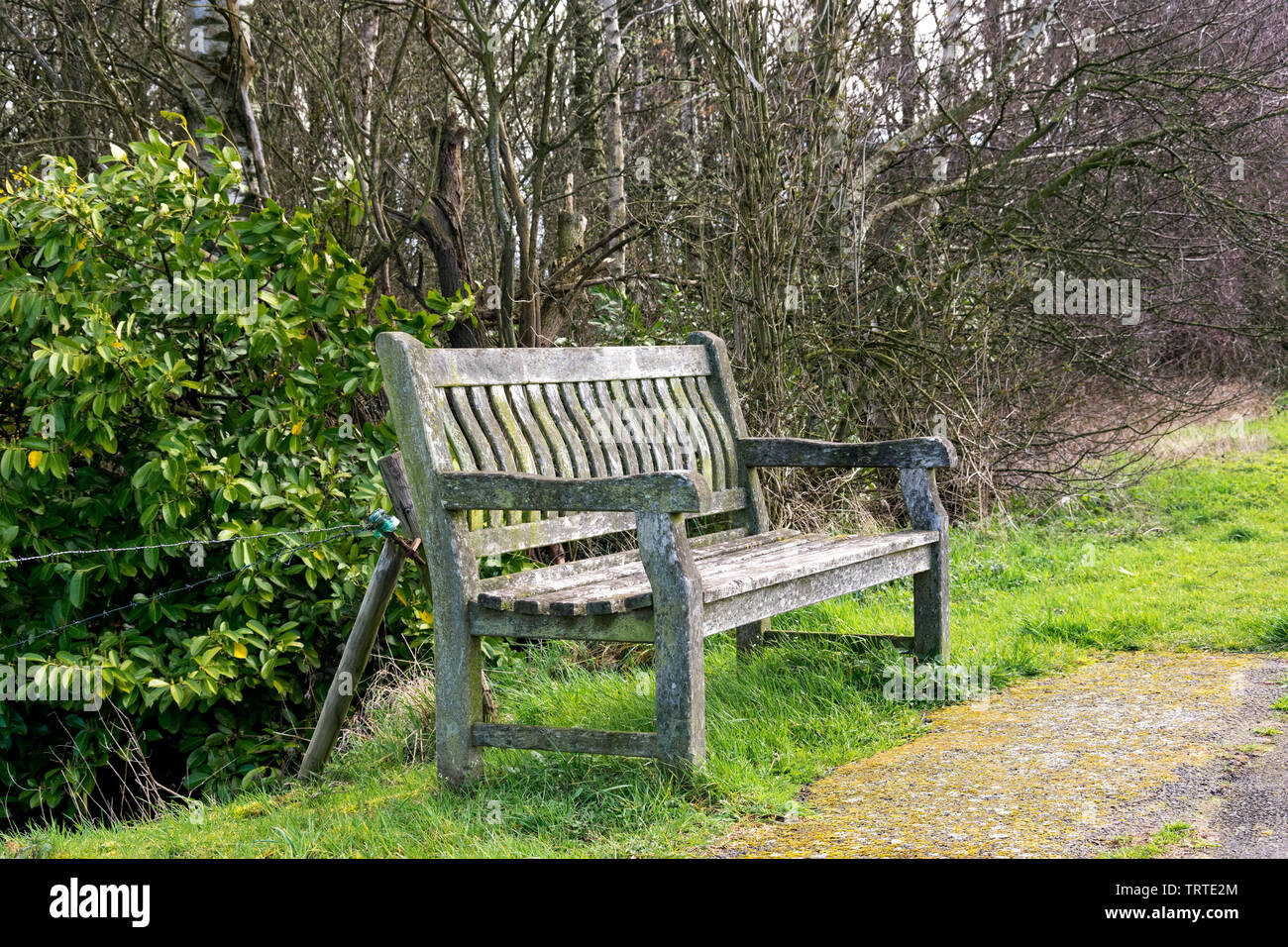 Beautiful backyard garden bench hi-res stock photography and images - Alamy