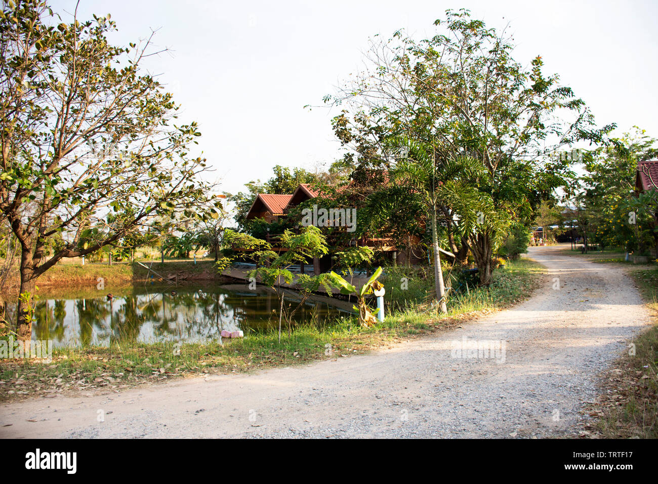 Wooden hut in garden with pond of resort and homestay for thai people ...