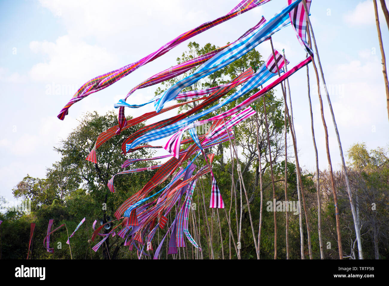 Tartan Cloth Fabric or Plaid Check Fabric loincloth Thai Style is ...