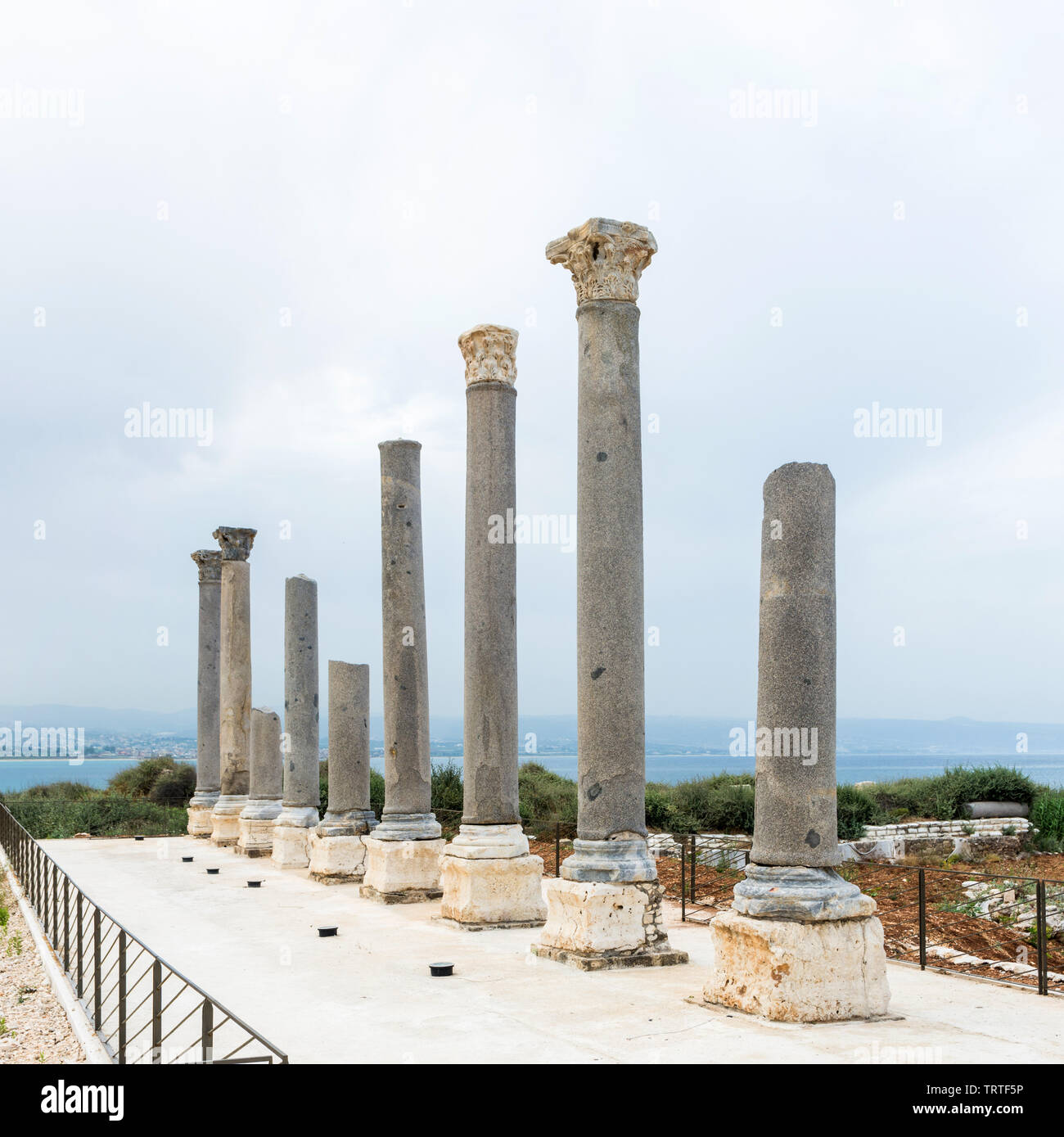 Roman palaestra hi-res stock photography and images - Alamy