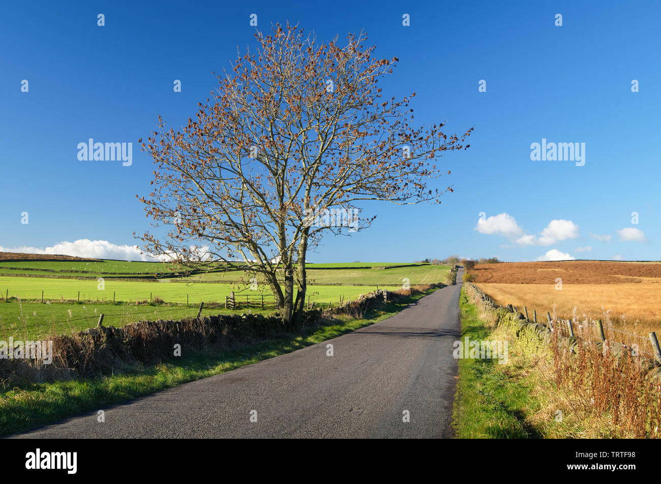 UK,Derbyshire,Peak District,Clodhall Lane heading towards Curbar Gap ...