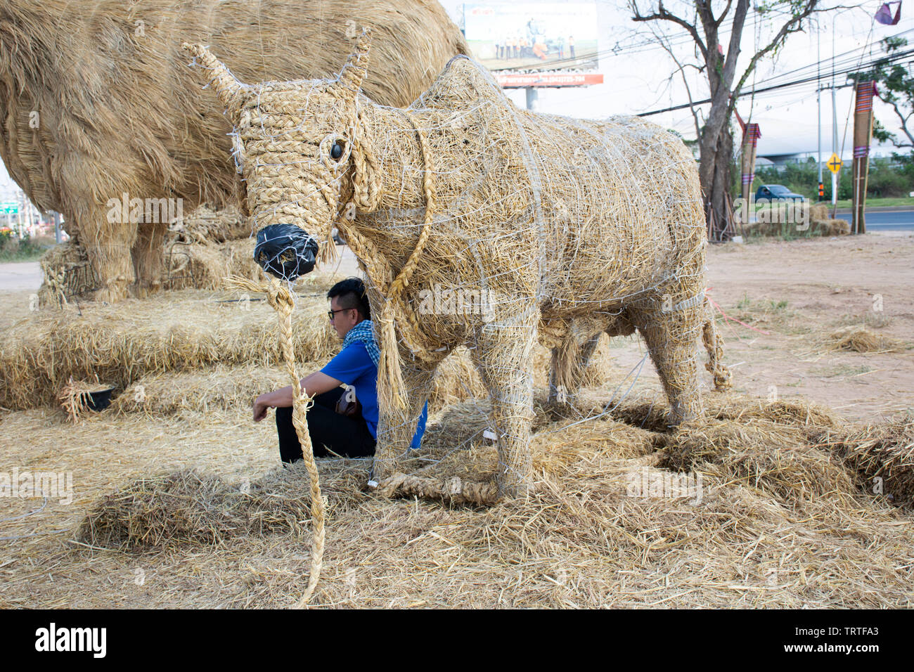 Straw puppets or straws man figure Festival for thai people and foreign ...