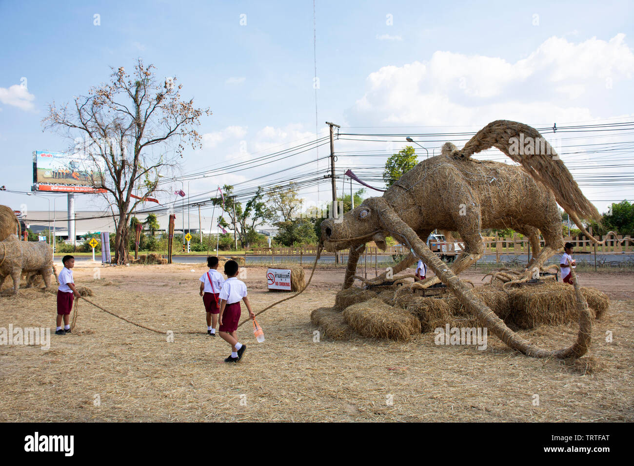 Straw puppets or straws man figure Festival for thai people and foreign ...