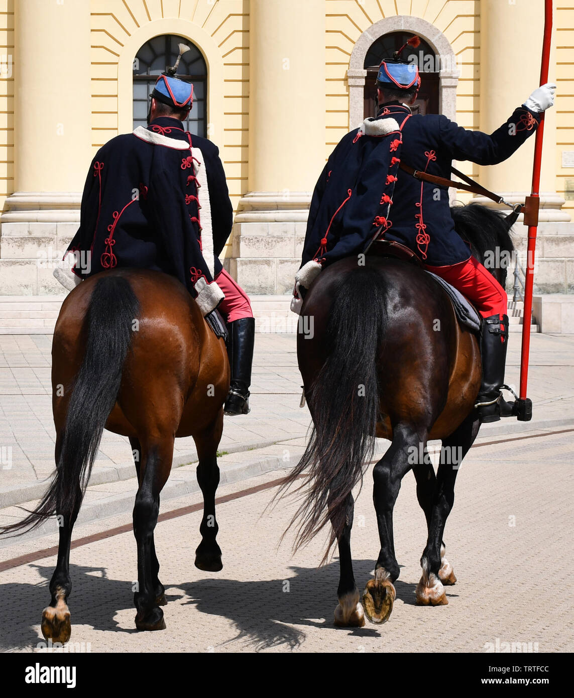 Horsemen on the street on horses Stock Photo - Alamy