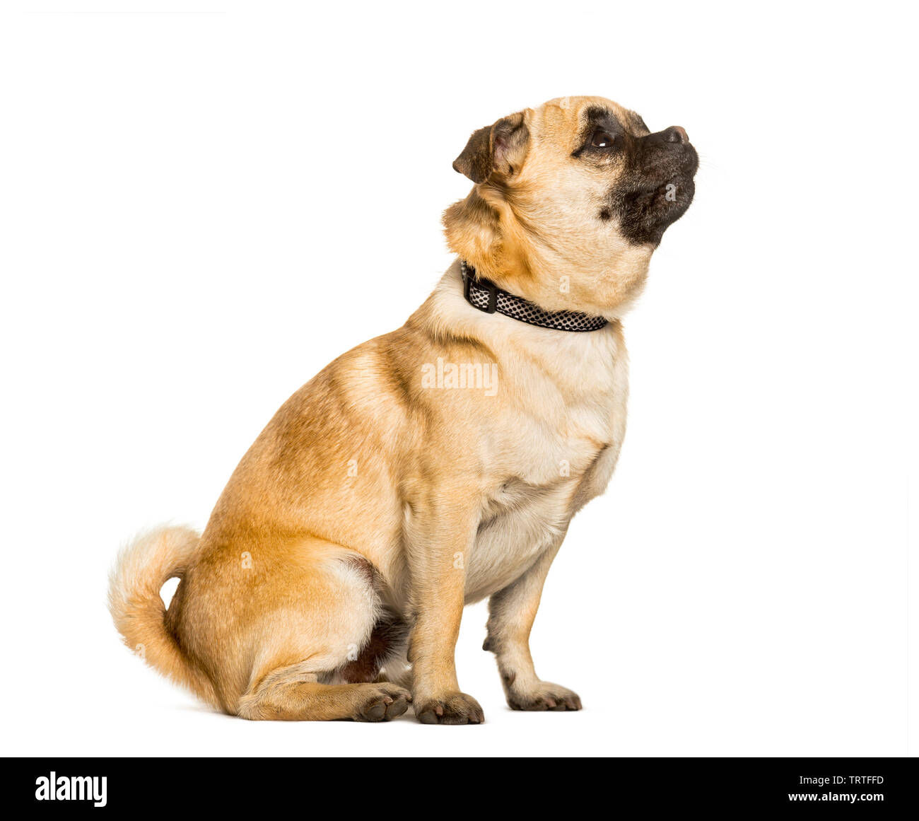 Chug chug hi-res stock photography and images - Alamy