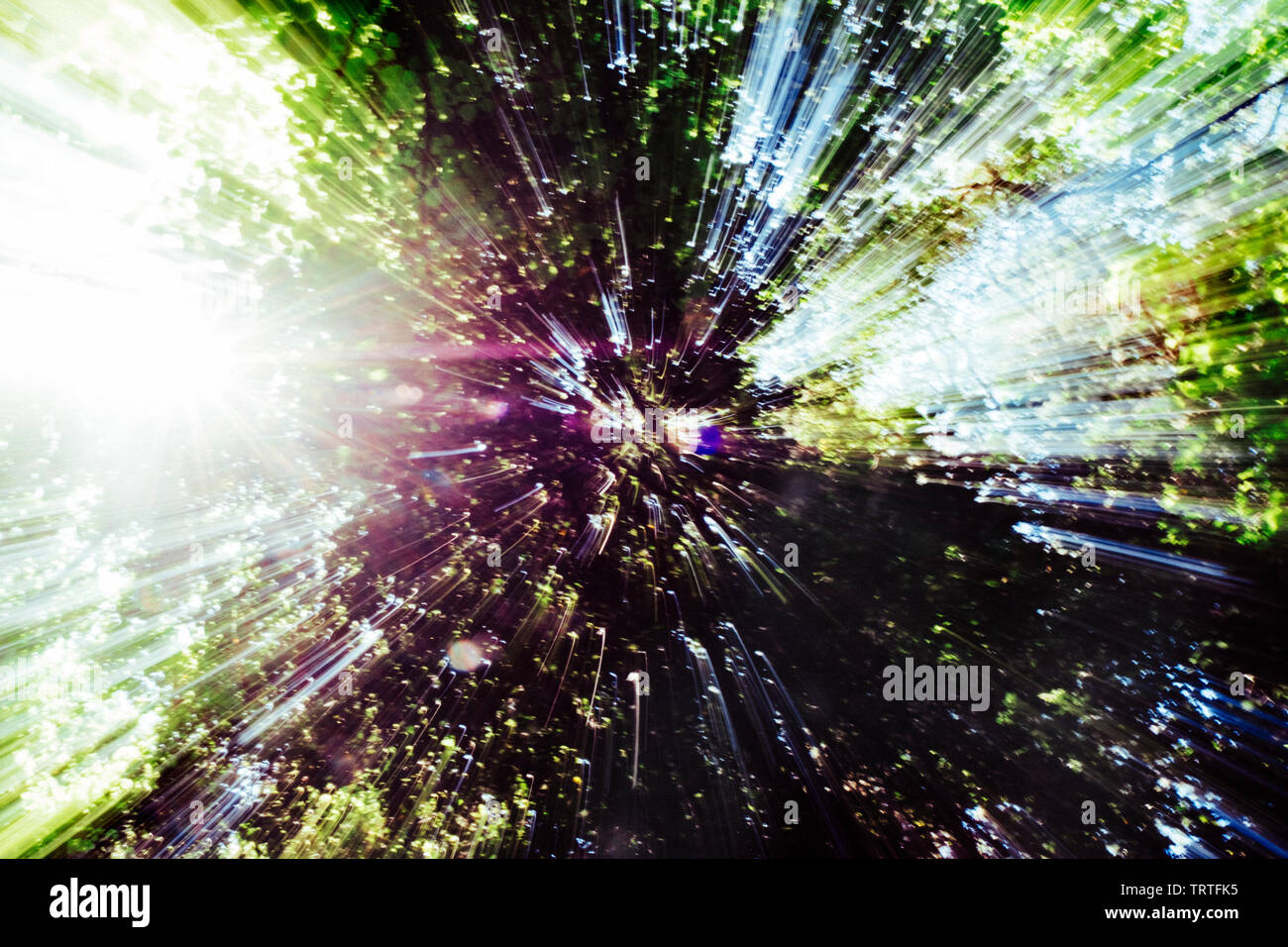 Zoomed Image Of Tree High Resolution Stock Photography and Images - Alamy
