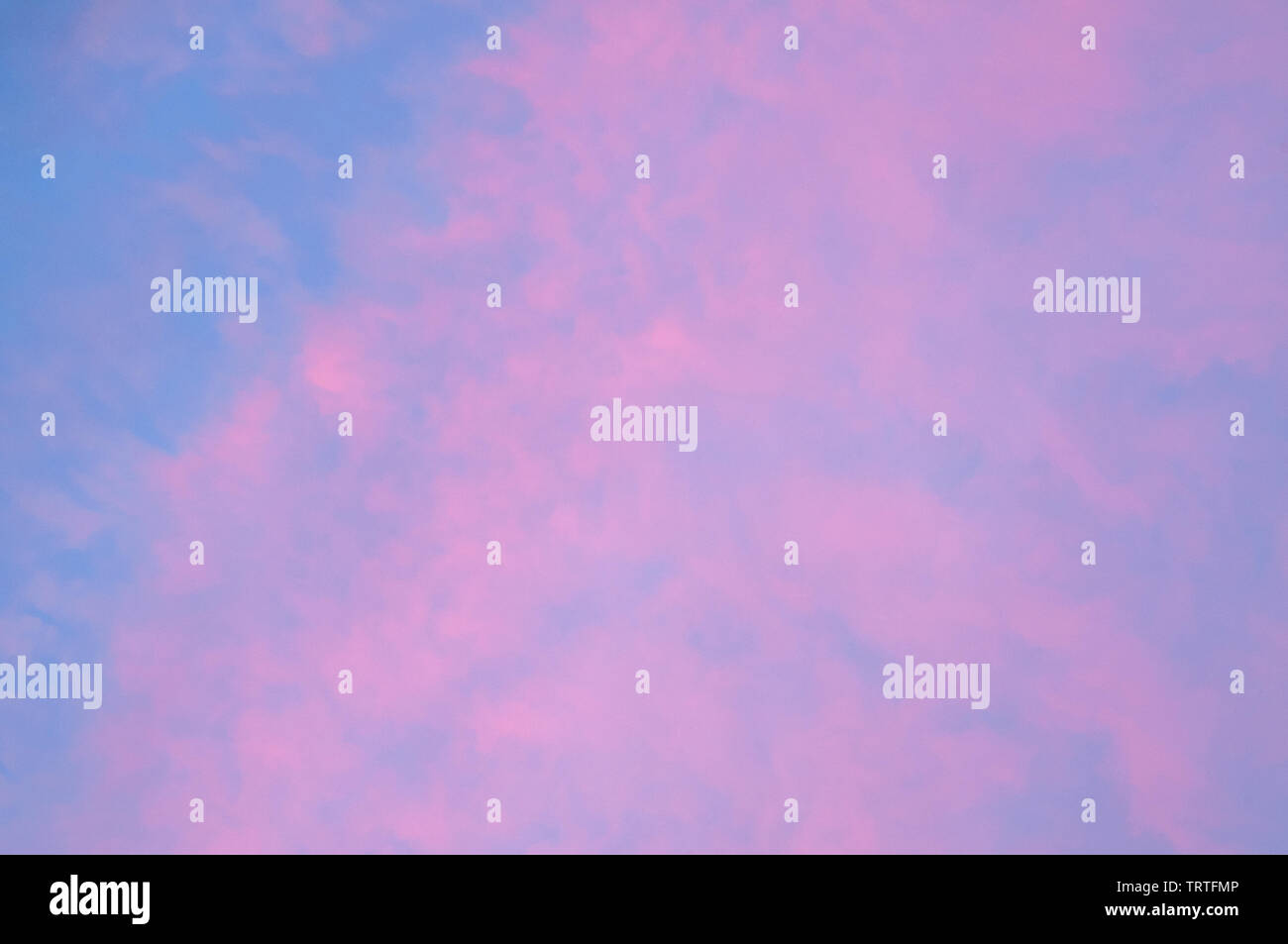 Beautiful pink sky. Cloud background with a pastel colour. Sky with ...