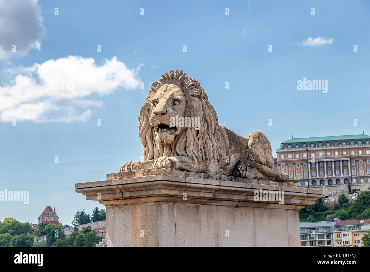 Lion on the szechenyi chain bridge hi-res stock photography and images ...