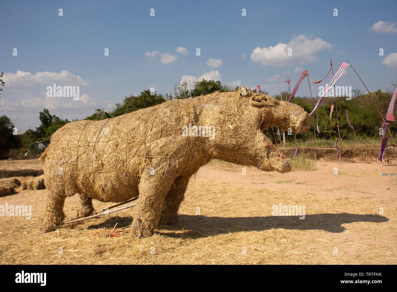 Straw puppets or straws man figure Festival for thai people and foreign ...