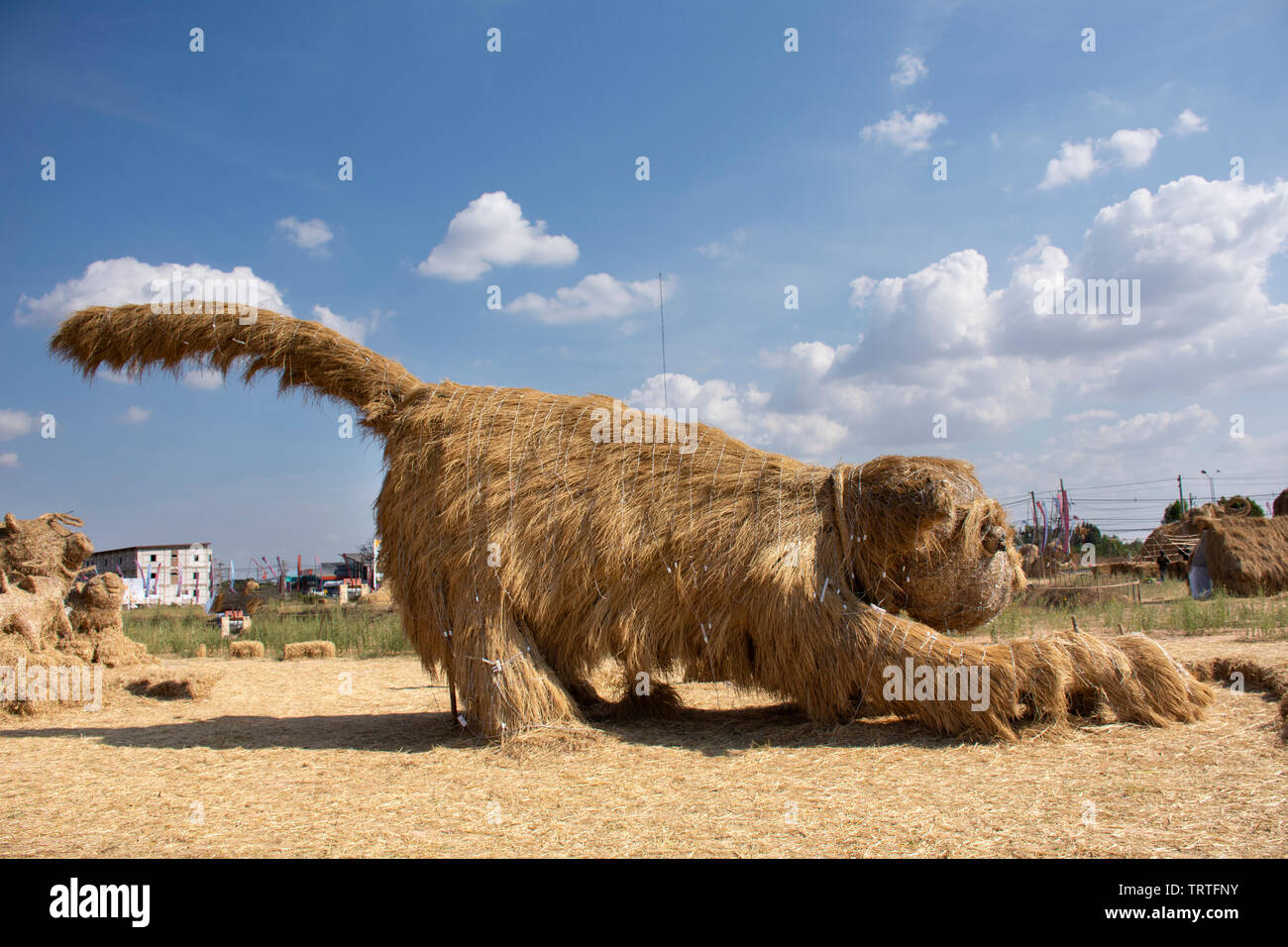 Straw puppets or straws man figure Festival for thai people and foreign ...