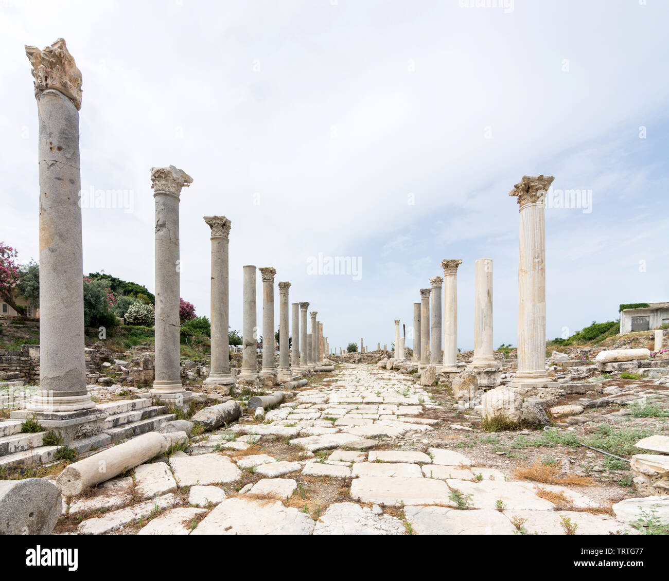 Roman portico hi-res stock photography and images - Alamy