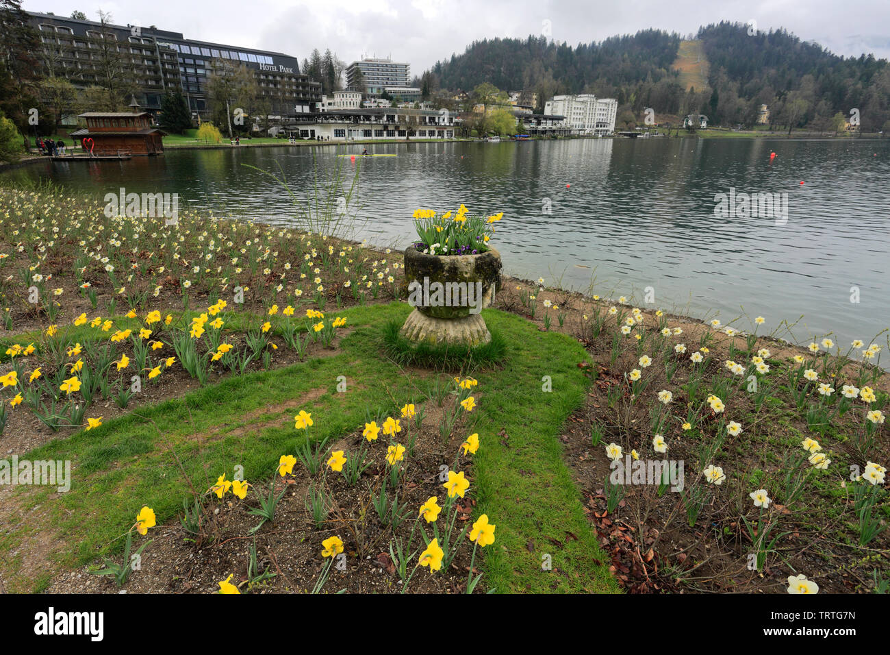 Spring view of Lake Bled, Bled town, Julian Alps, Slovenia, Europe ...