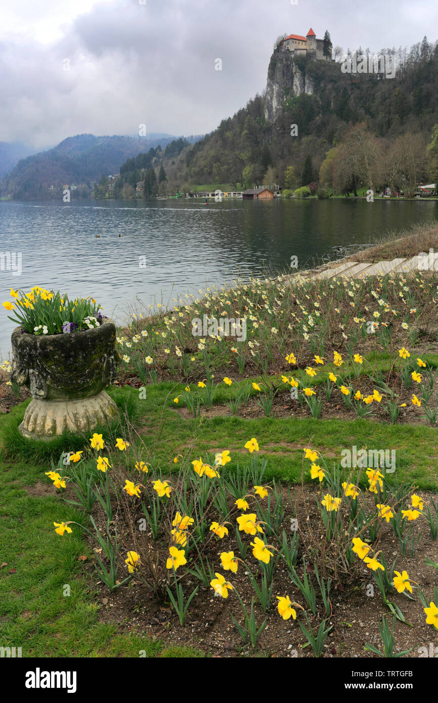 Spring view of Lake Bled, Bled town, Julian Alps, Slovenia, Europe ...