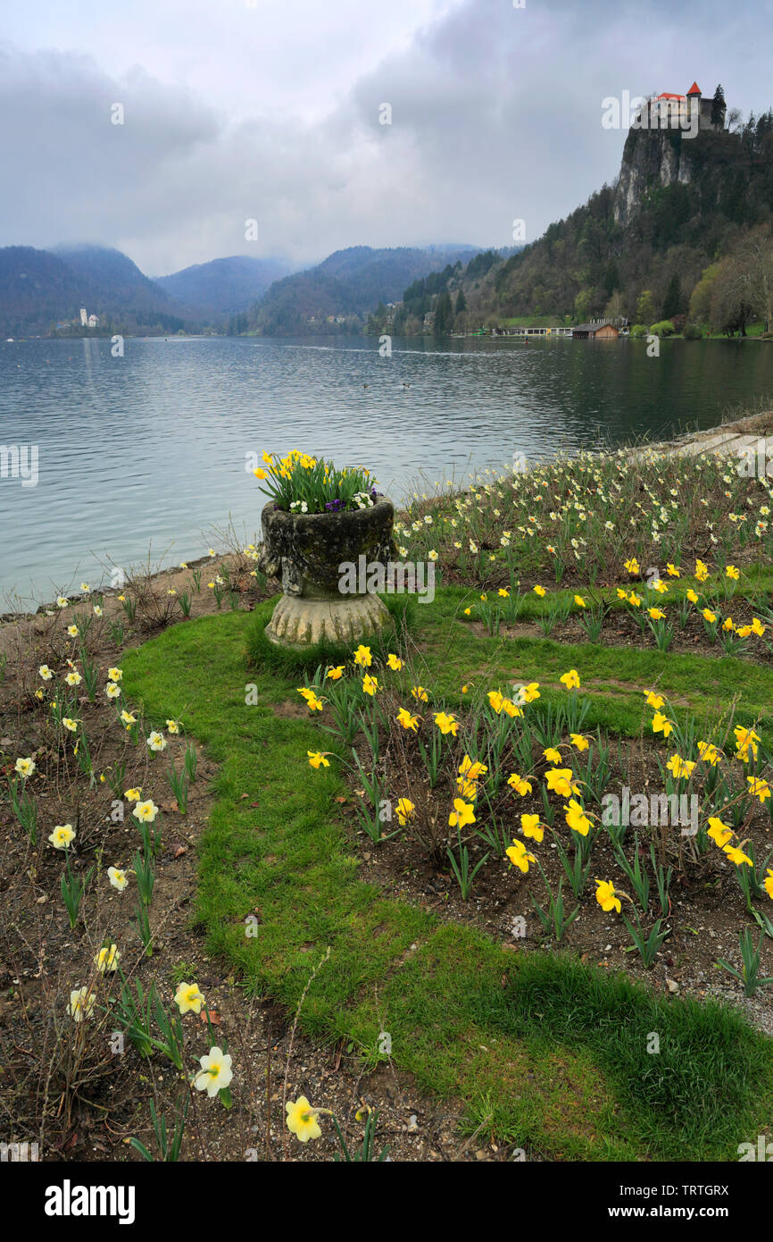 Spring view of Lake Bled, Bled town, Julian Alps, Slovenia, Europe ...