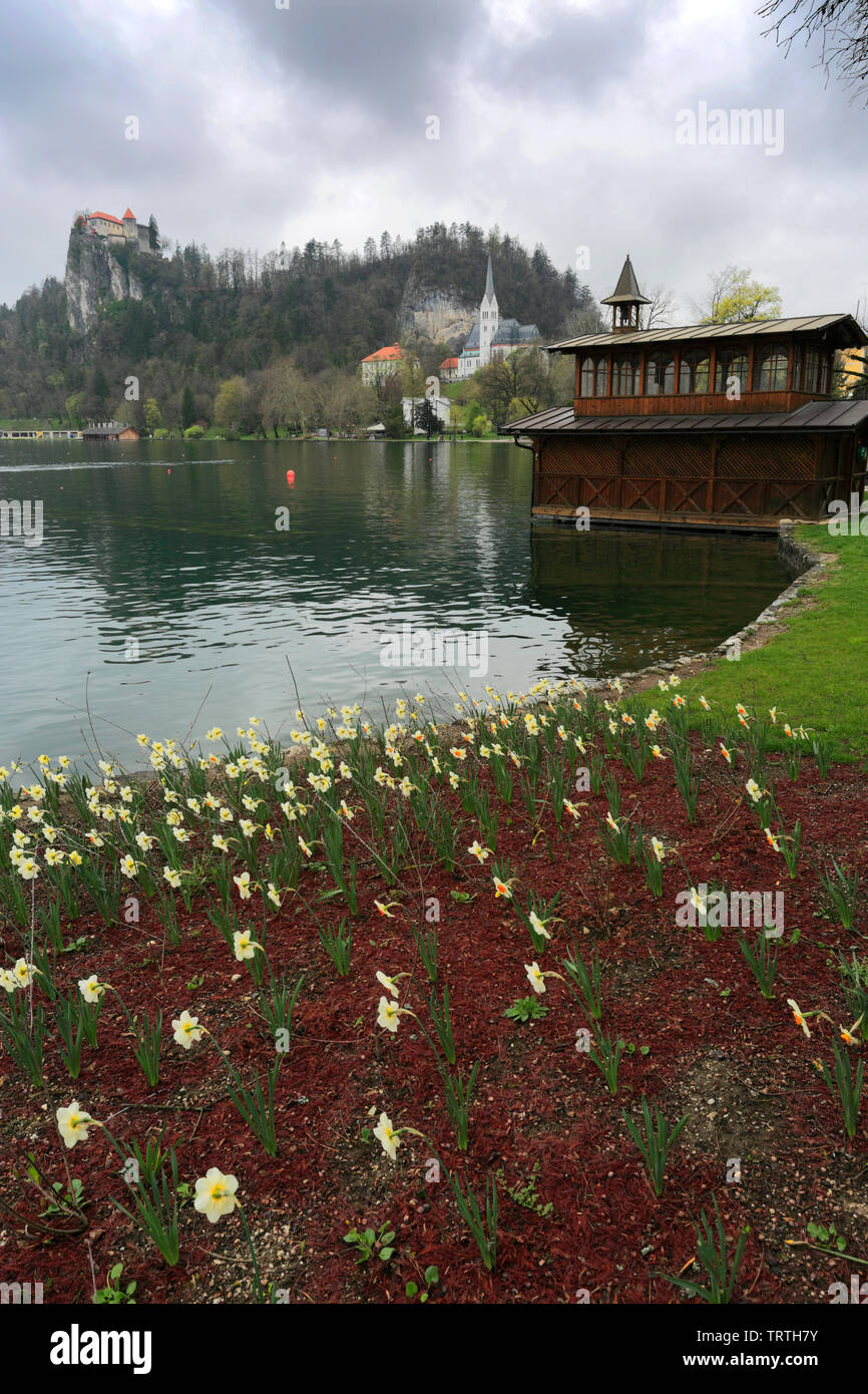 Spring view of Lake Bled, Bled town, Julian Alps, Slovenia, Europe ...