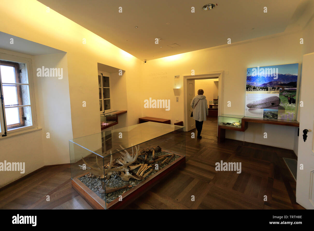 Museum display in Bled Castle, Lake Bled, Bled town, Julian Alps ...