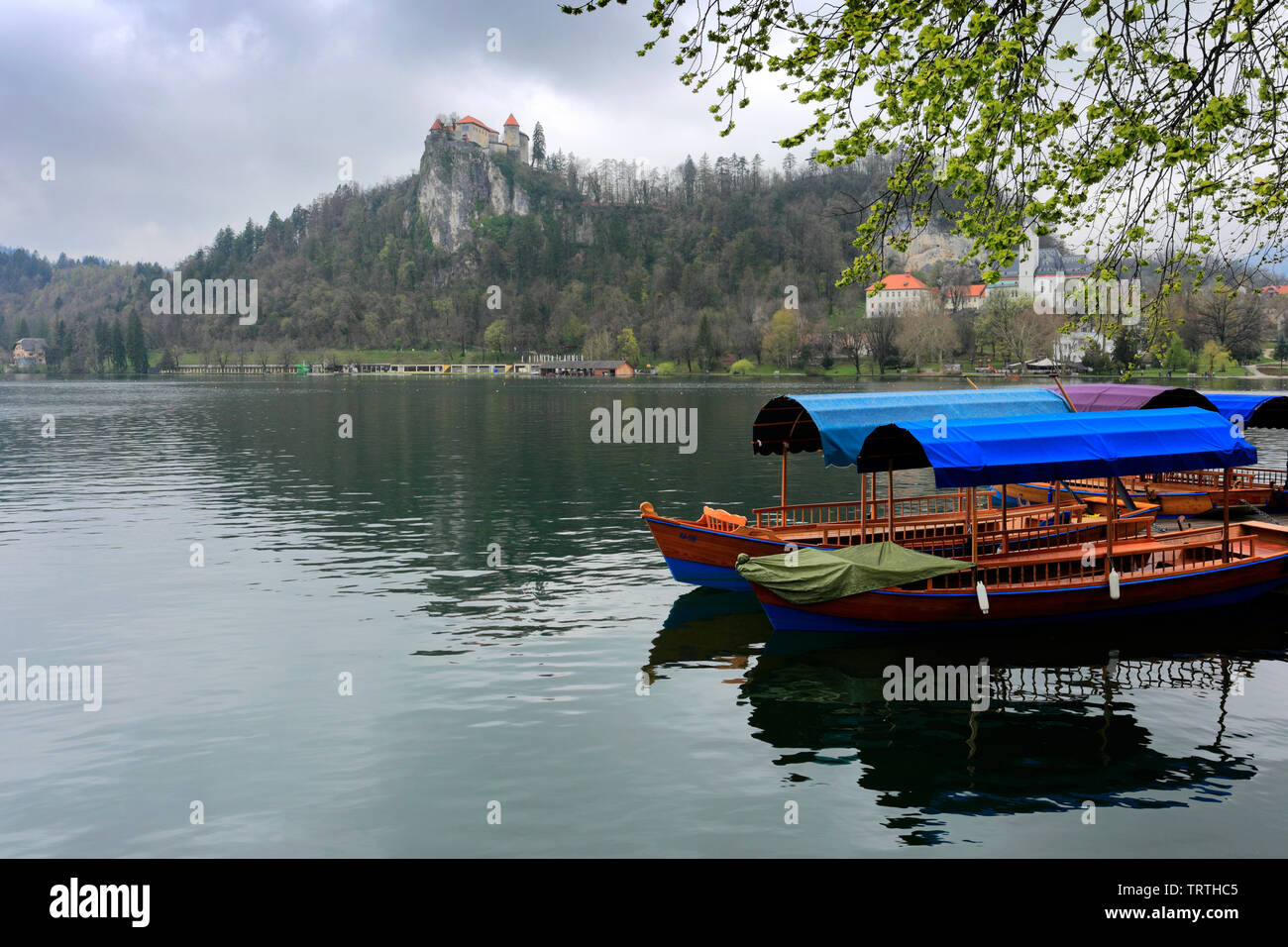 Slovenia map showing the julian alps and bled