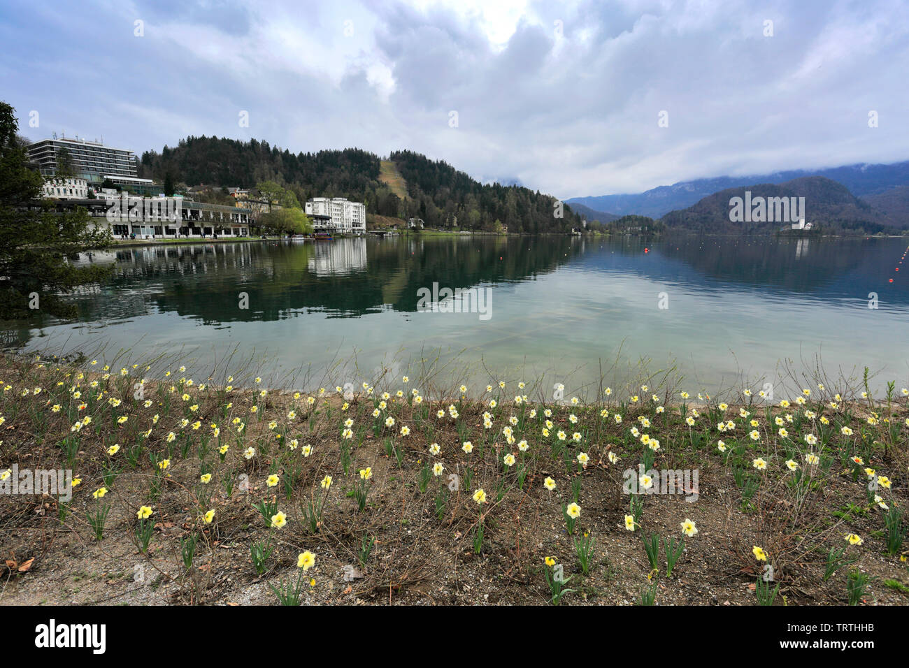 Spring view of Lake Bled, Bled town, Julian Alps, Slovenia, Europe ...