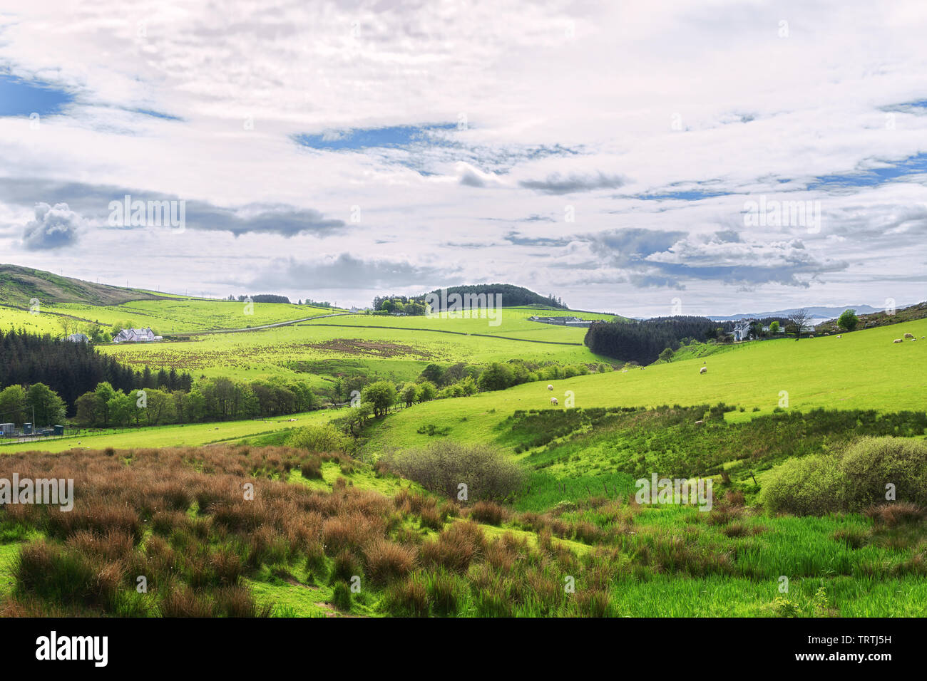 Green fields and hills in the scottish highlands hi-res stock ...