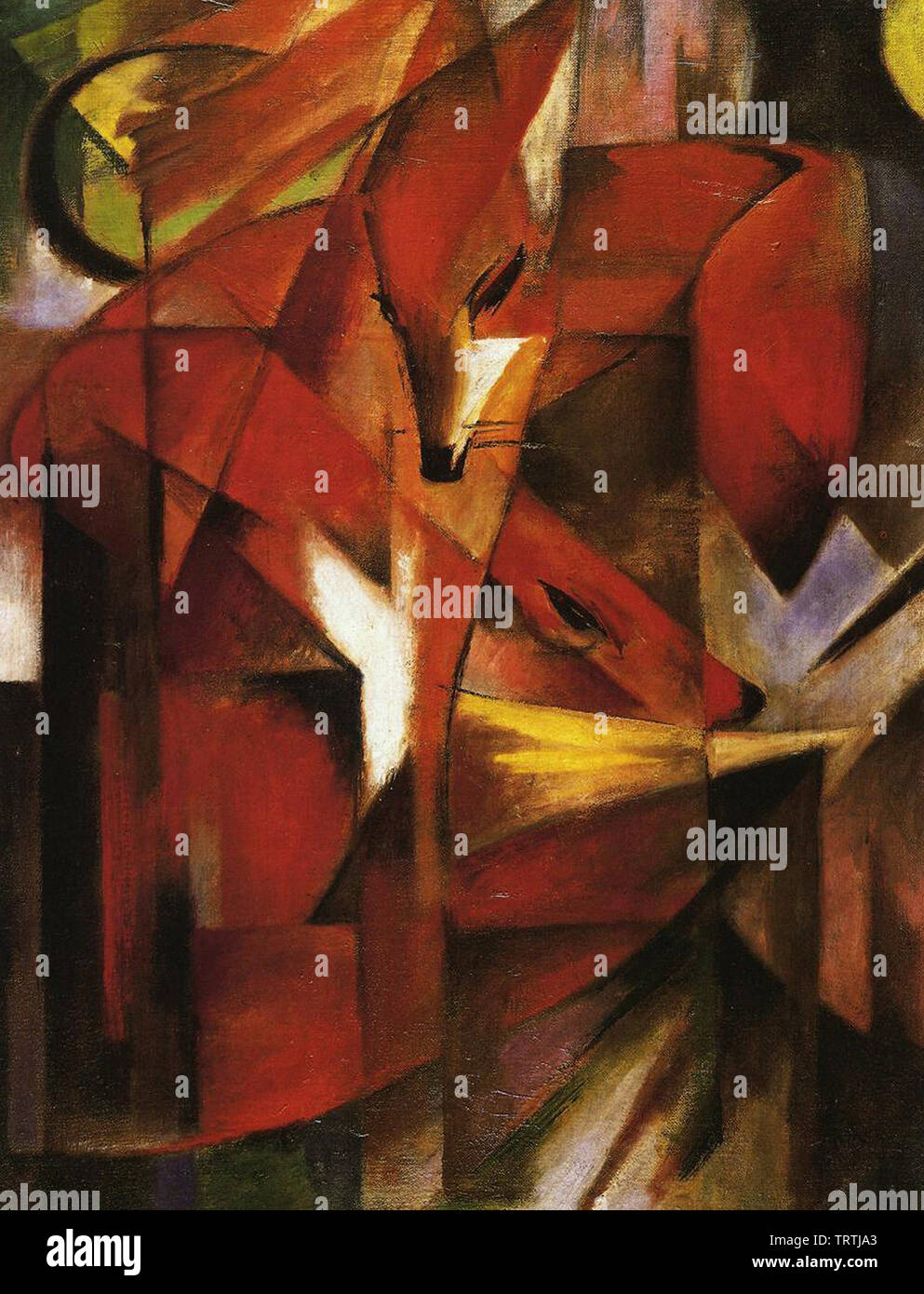 Franz Marc - Fox 1913 Stock Photo - Alamy
