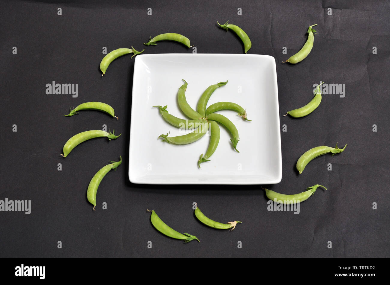 Seven pea pods arranged in a Spiral on a White dinner plate. There are ...
