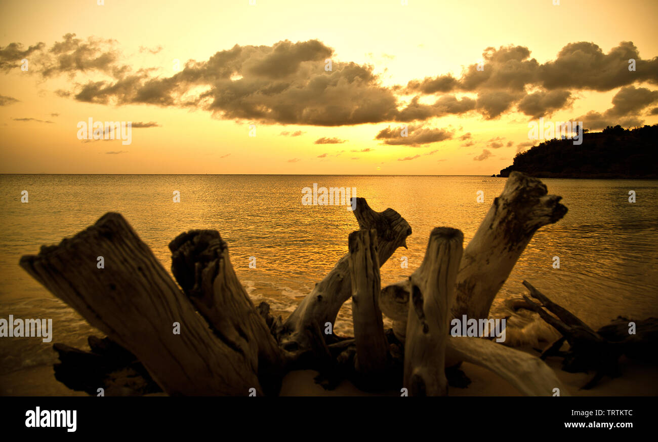 Jolly Harbour , Antigua Stock Photo - Alamy