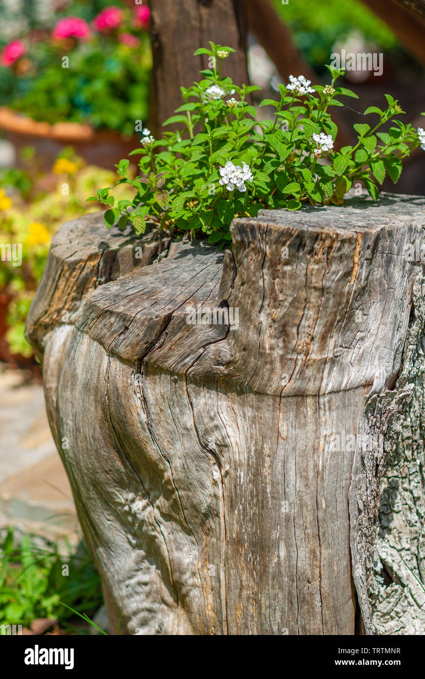 Blurred things hi-res stock photography and images - Alamy