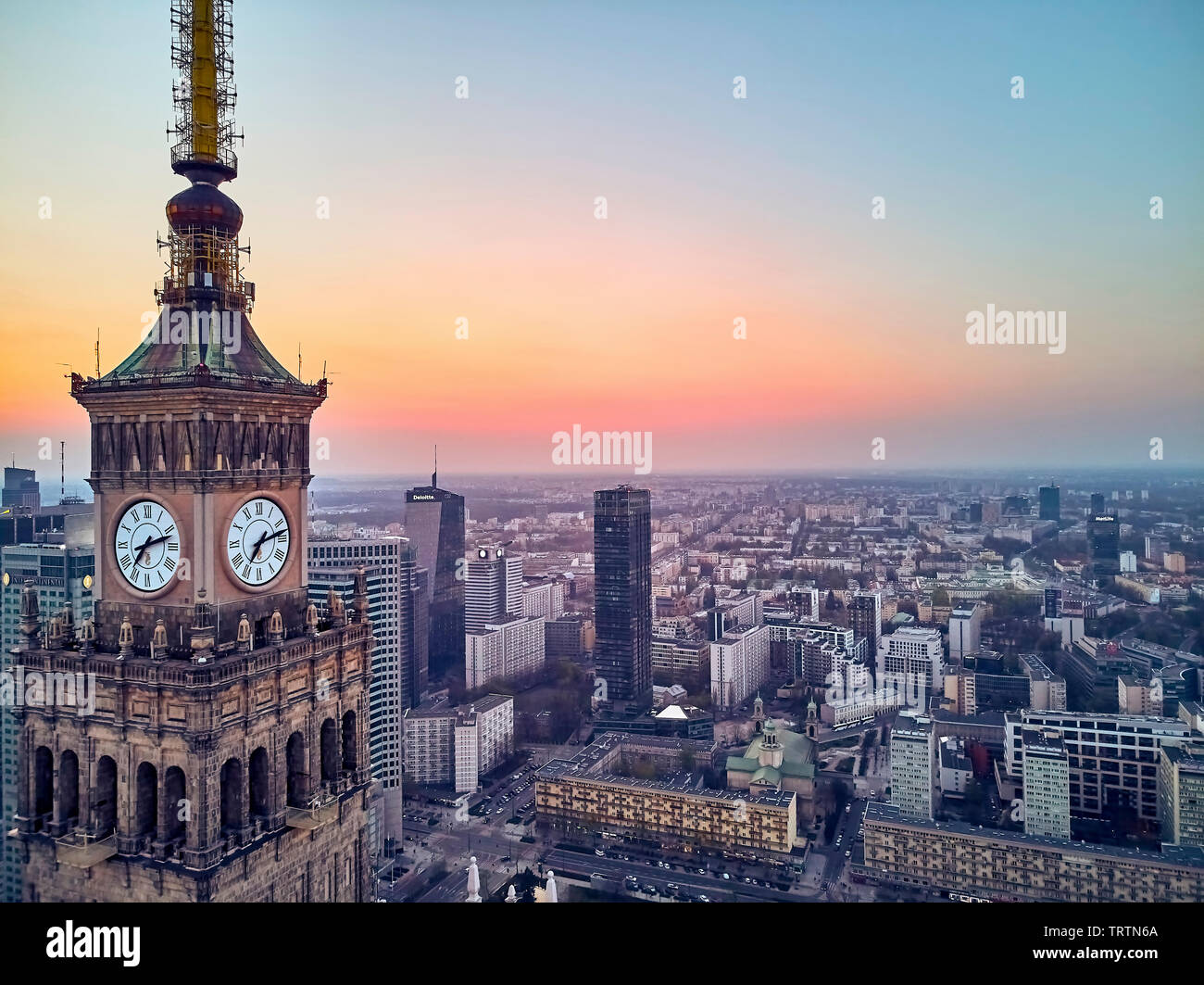 Planet Bird High Resolution Stock Photography and Images - Alamy