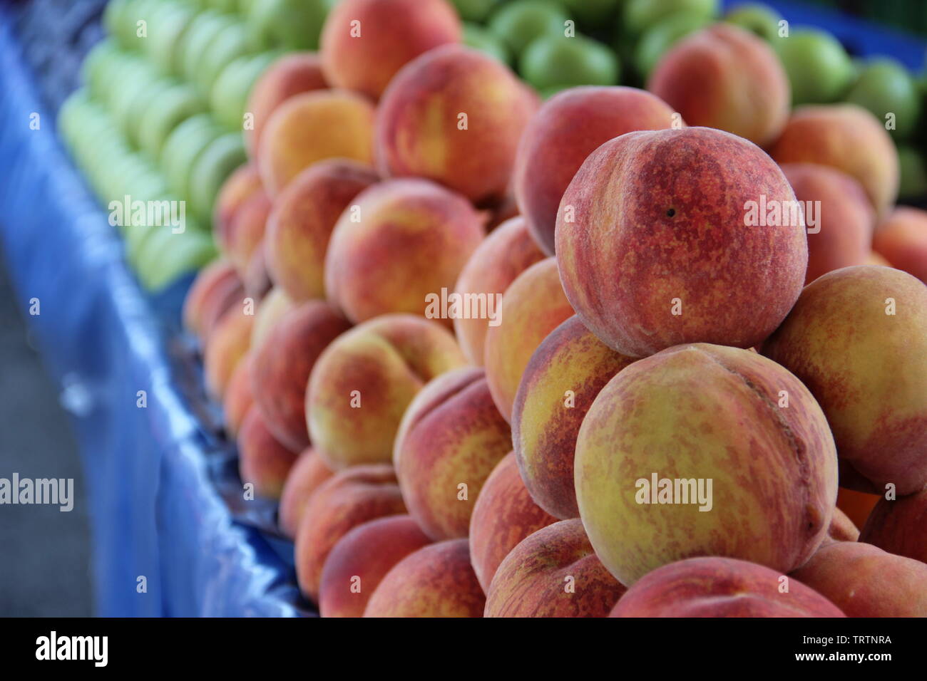 travel beach flowers church sea lake fruits vegatables oldtimer garden ...