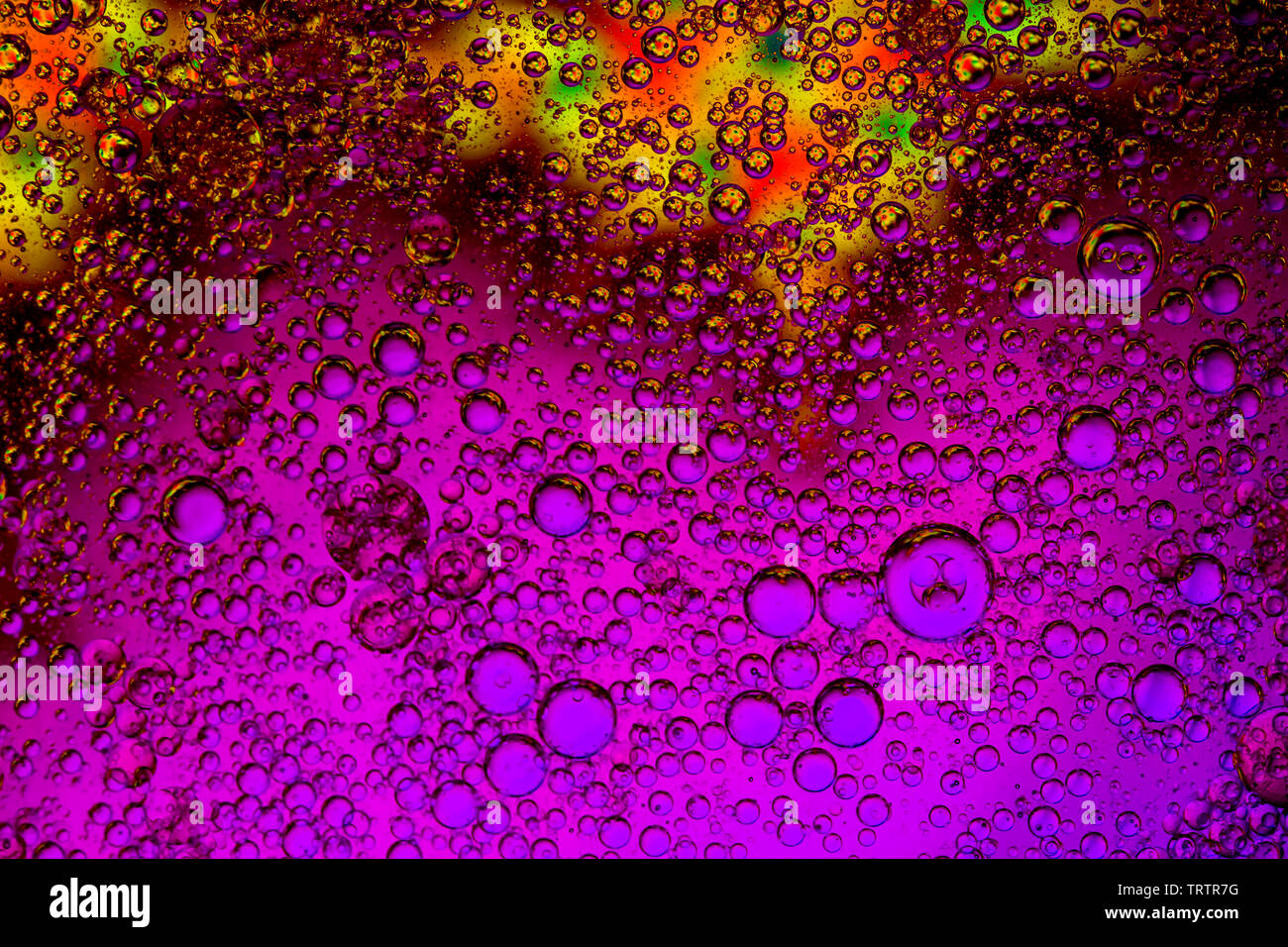 purple magenta abstract colorful organic bubbles macro pattern texture ...