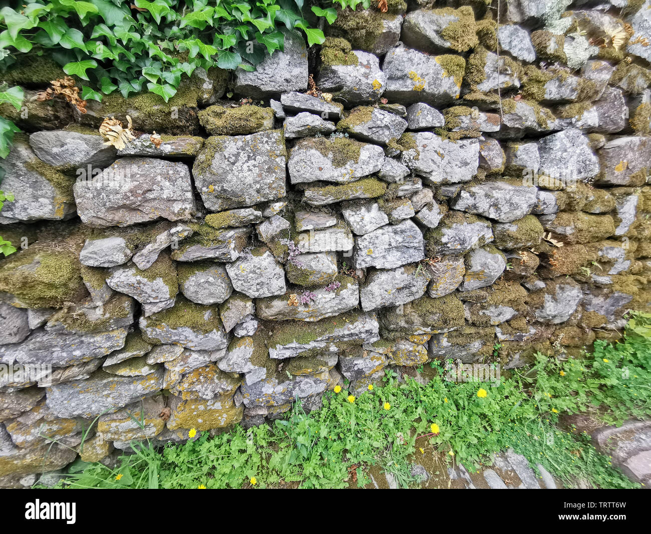 old stone wall walk path in italy cinque terre Stock Photo - Alamy