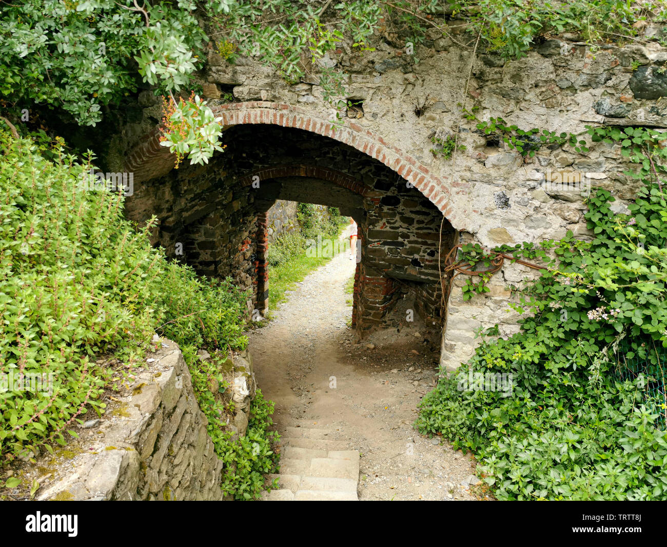 old stone wall walk path in italy cinque terre Stock Photo - Alamy