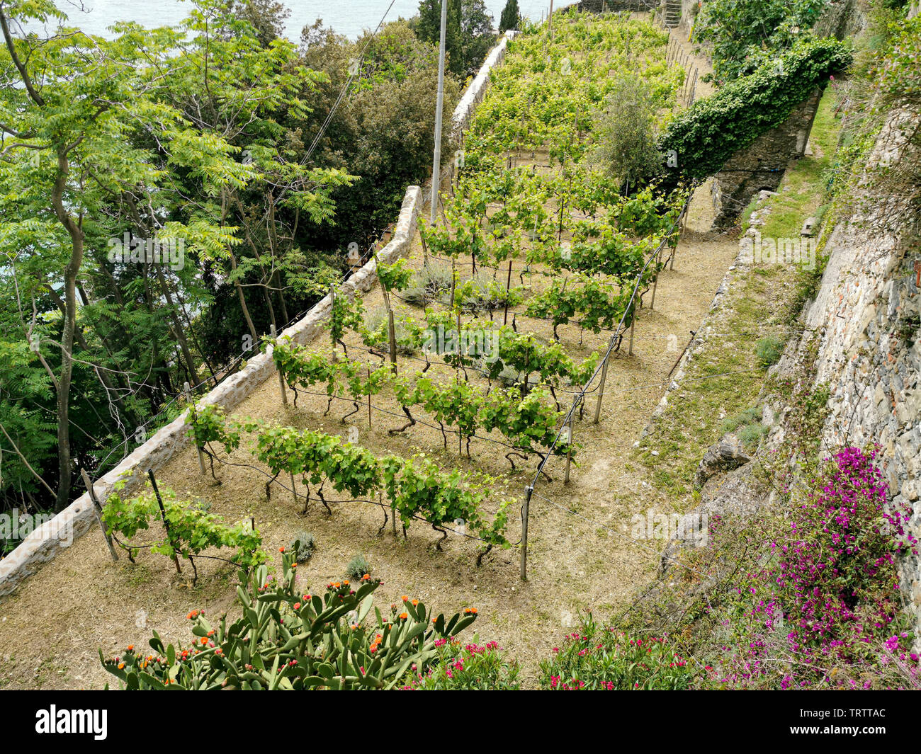 Five terrace mountain hi-res stock photography and images - Alamy