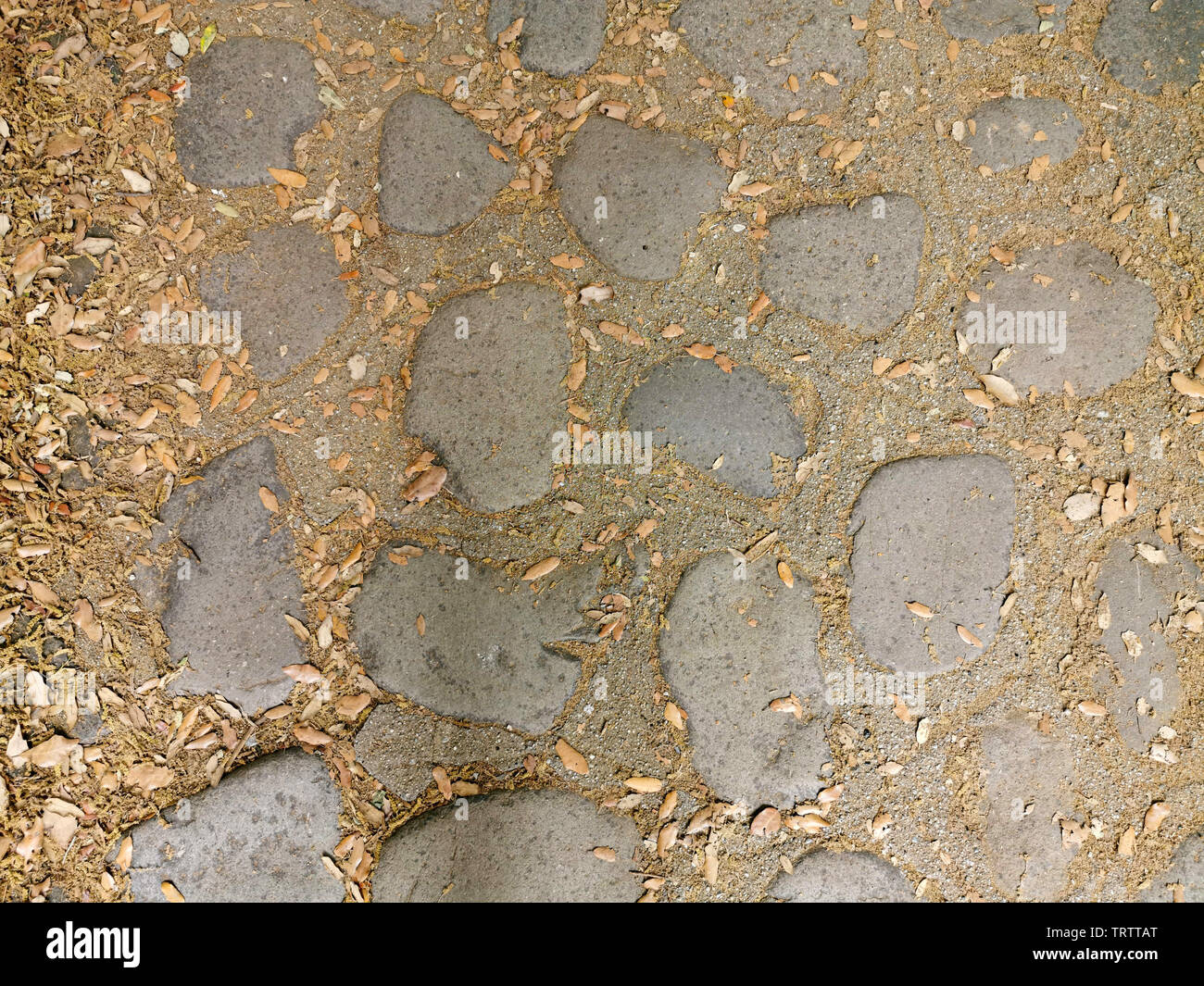 Roman Stones path in Italy detail Stock Photo - Alamy