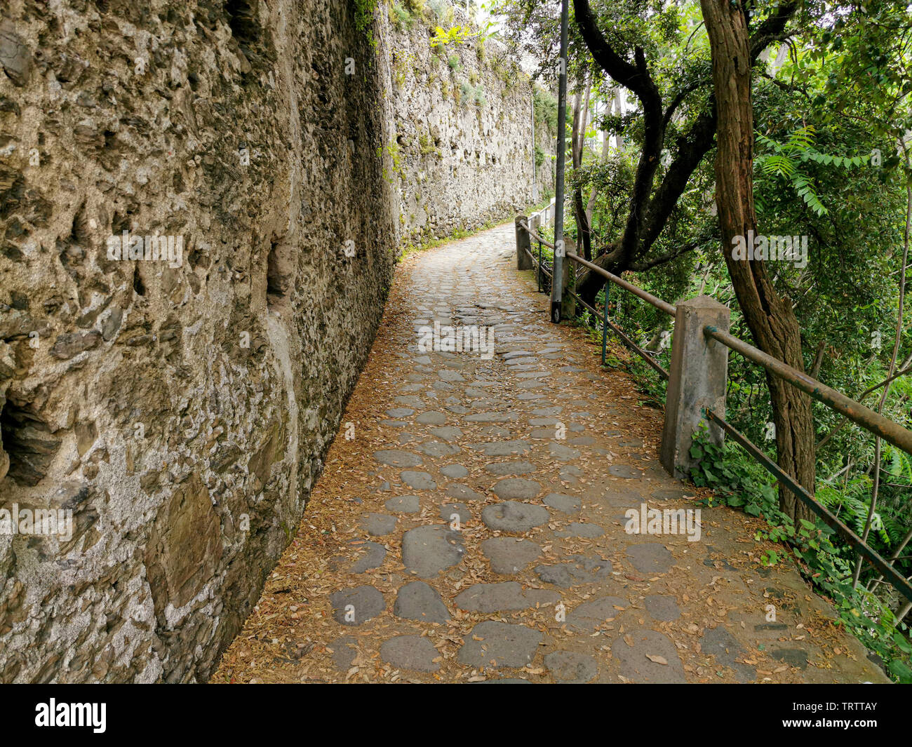 Roman Stones path in Italy detail Stock Photo - Alamy