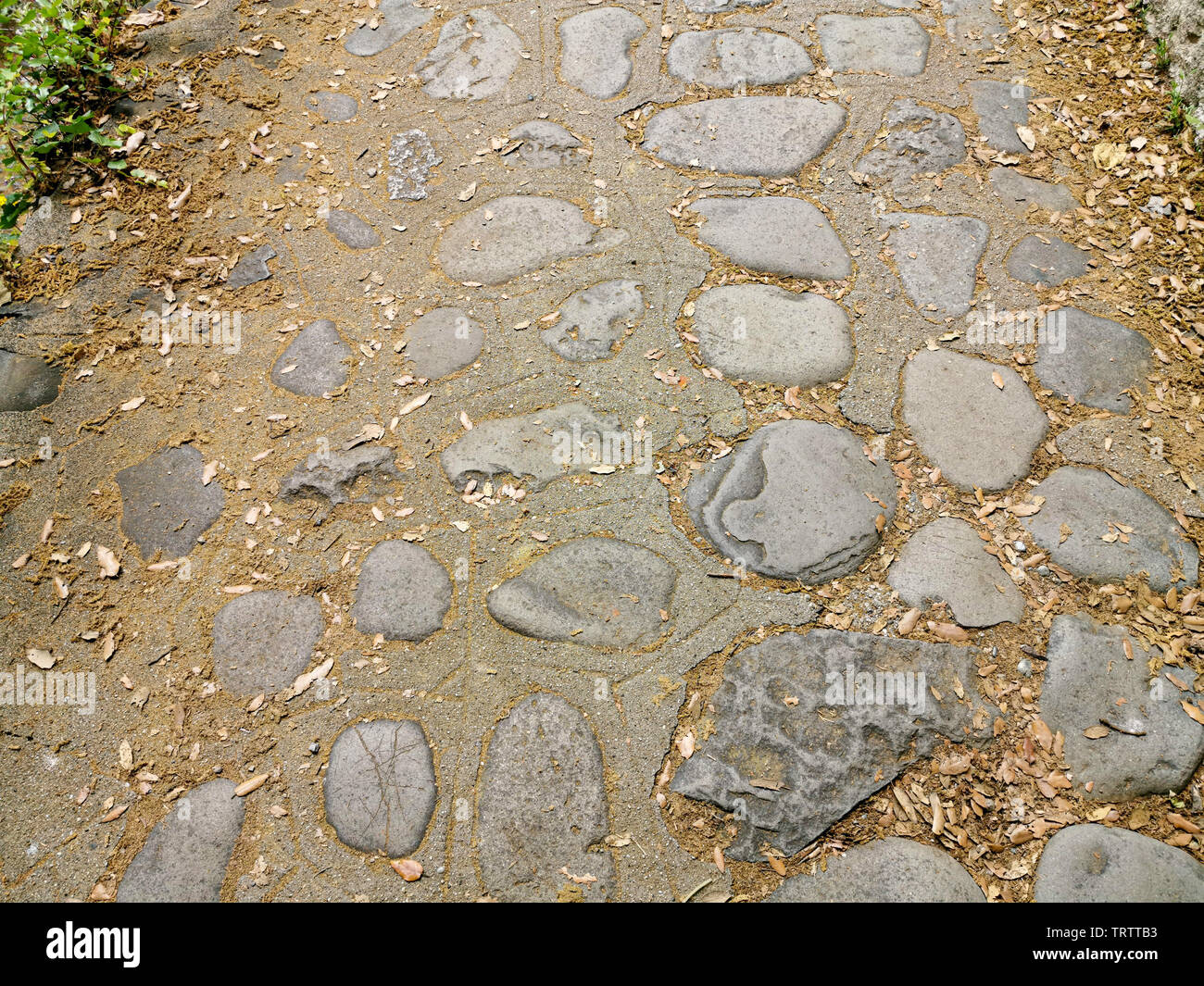 Roman Stones path in Italy detail Stock Photo - Alamy
