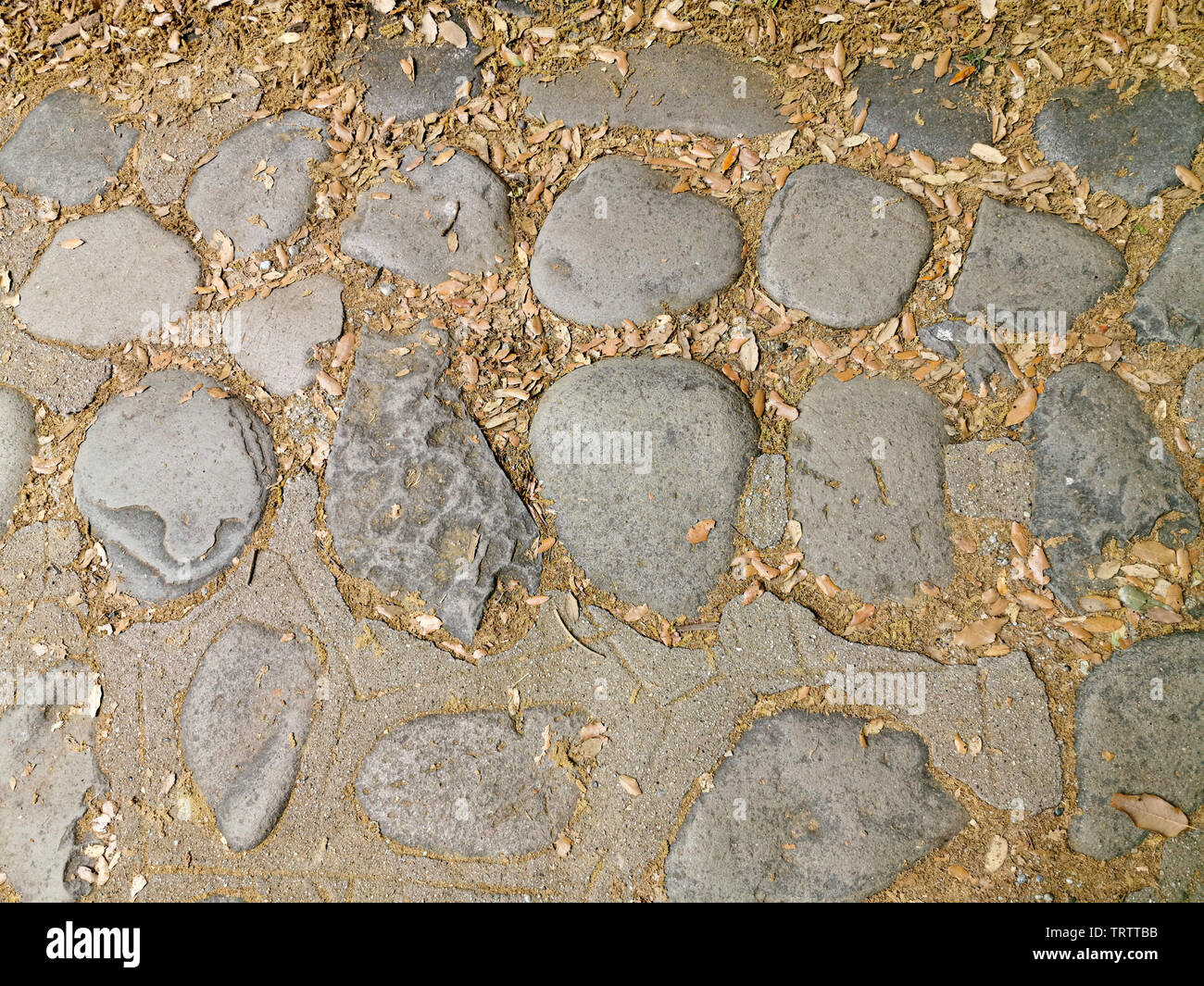 Roman Stones path in Italy detail Stock Photo - Alamy
